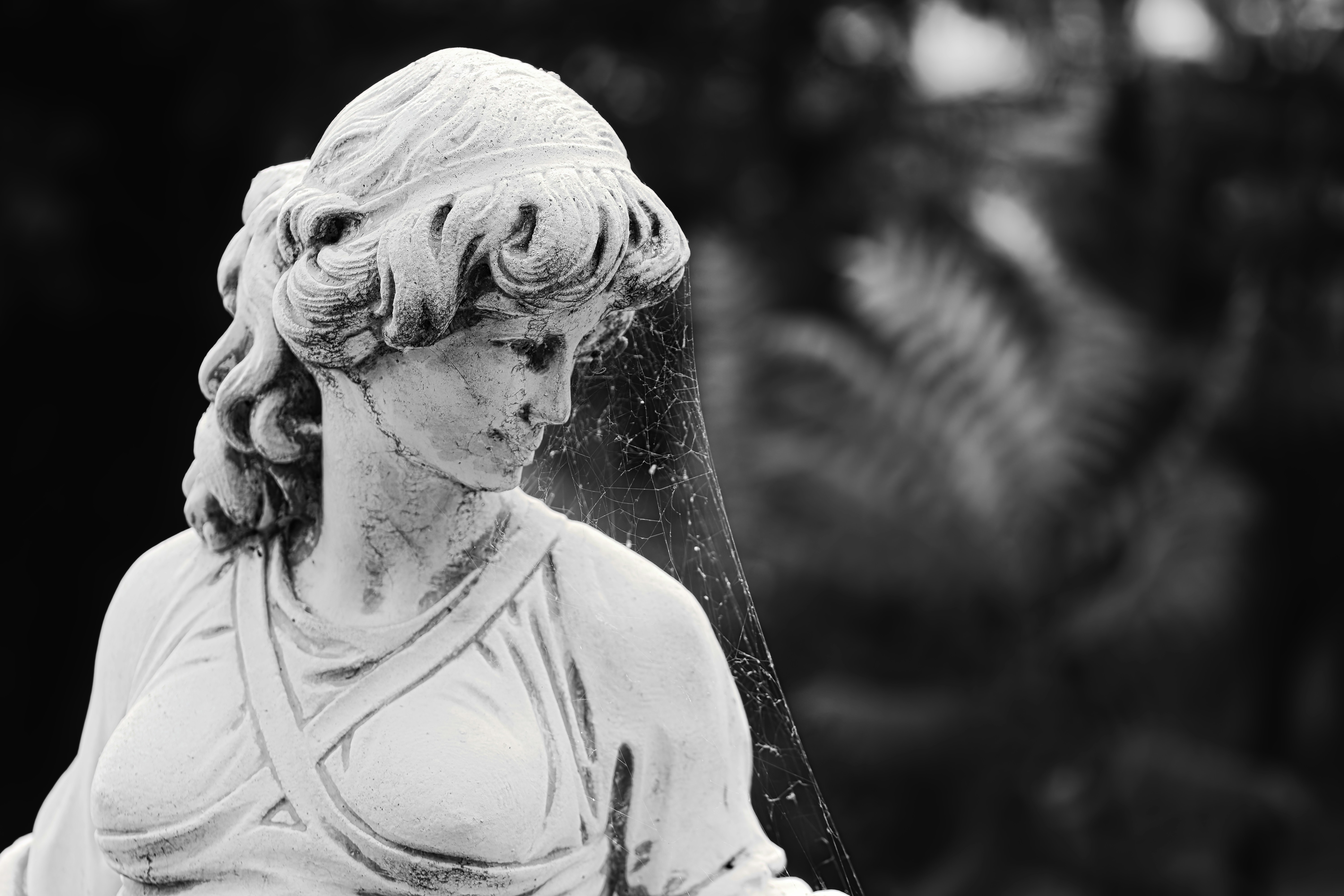 Whispers of Time: A Forgotten Elegance