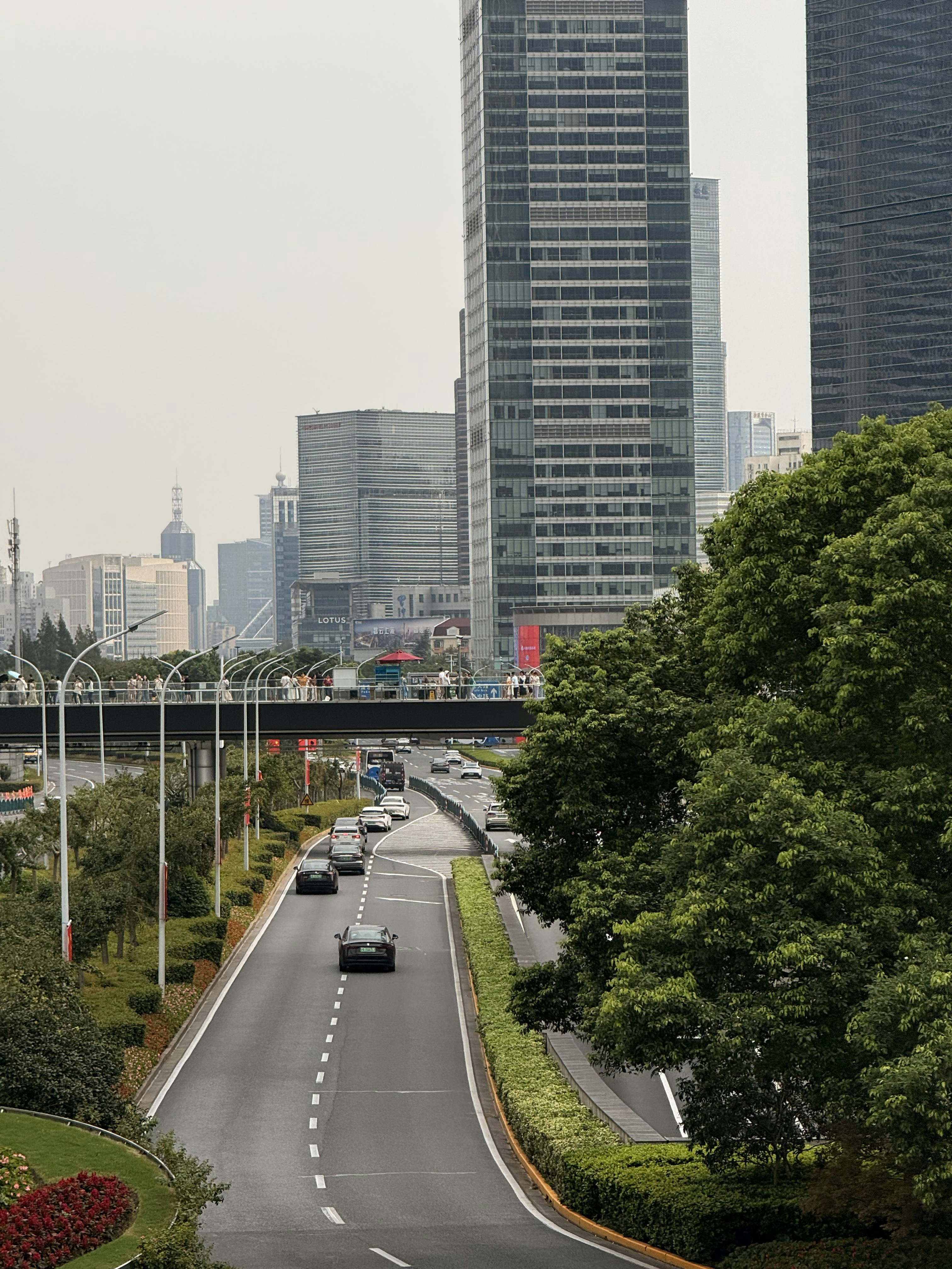 Urban Symphony: The Dance of Nature and Concrete