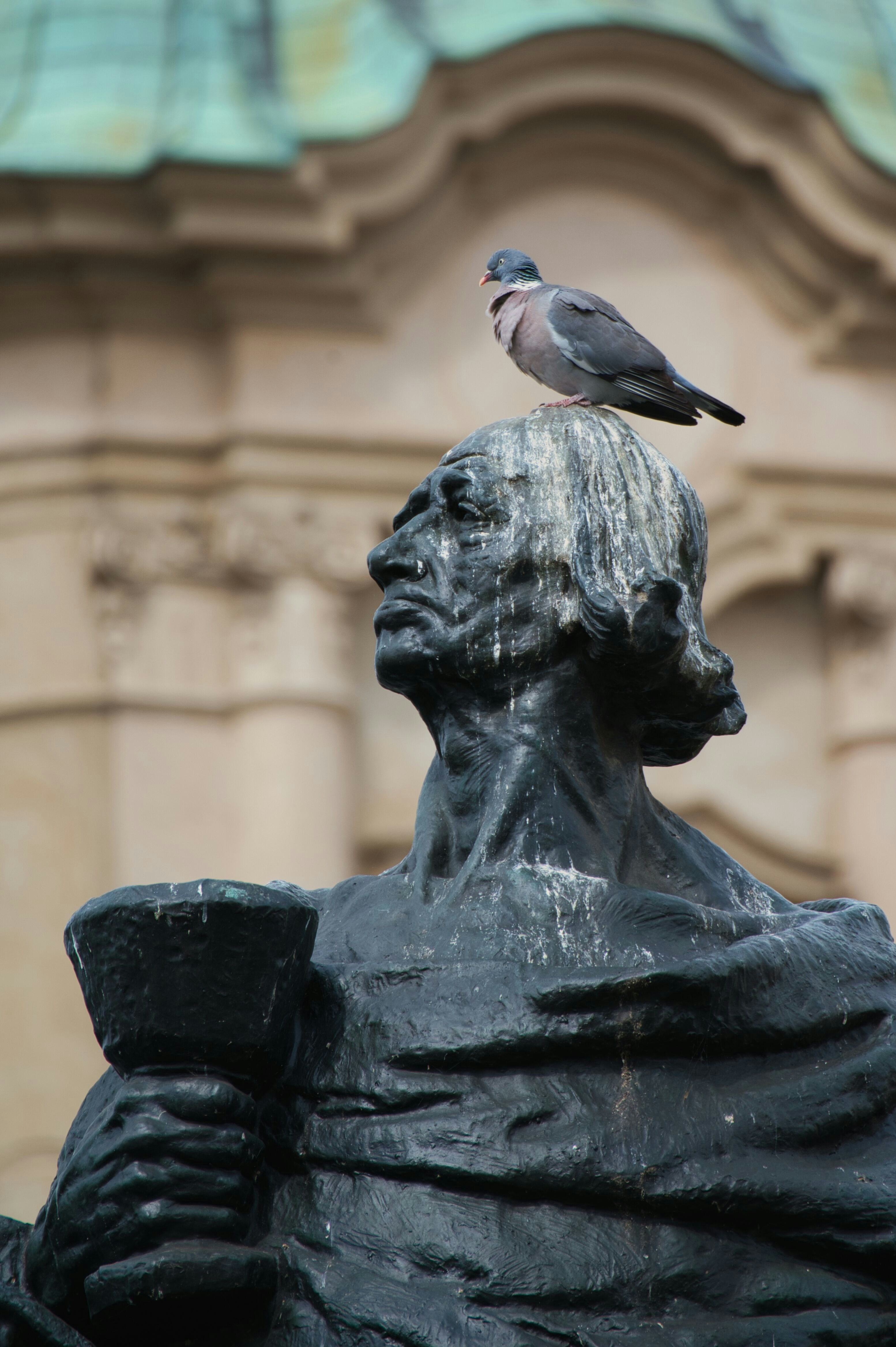 Pigeon perched on a weathered statue's head.