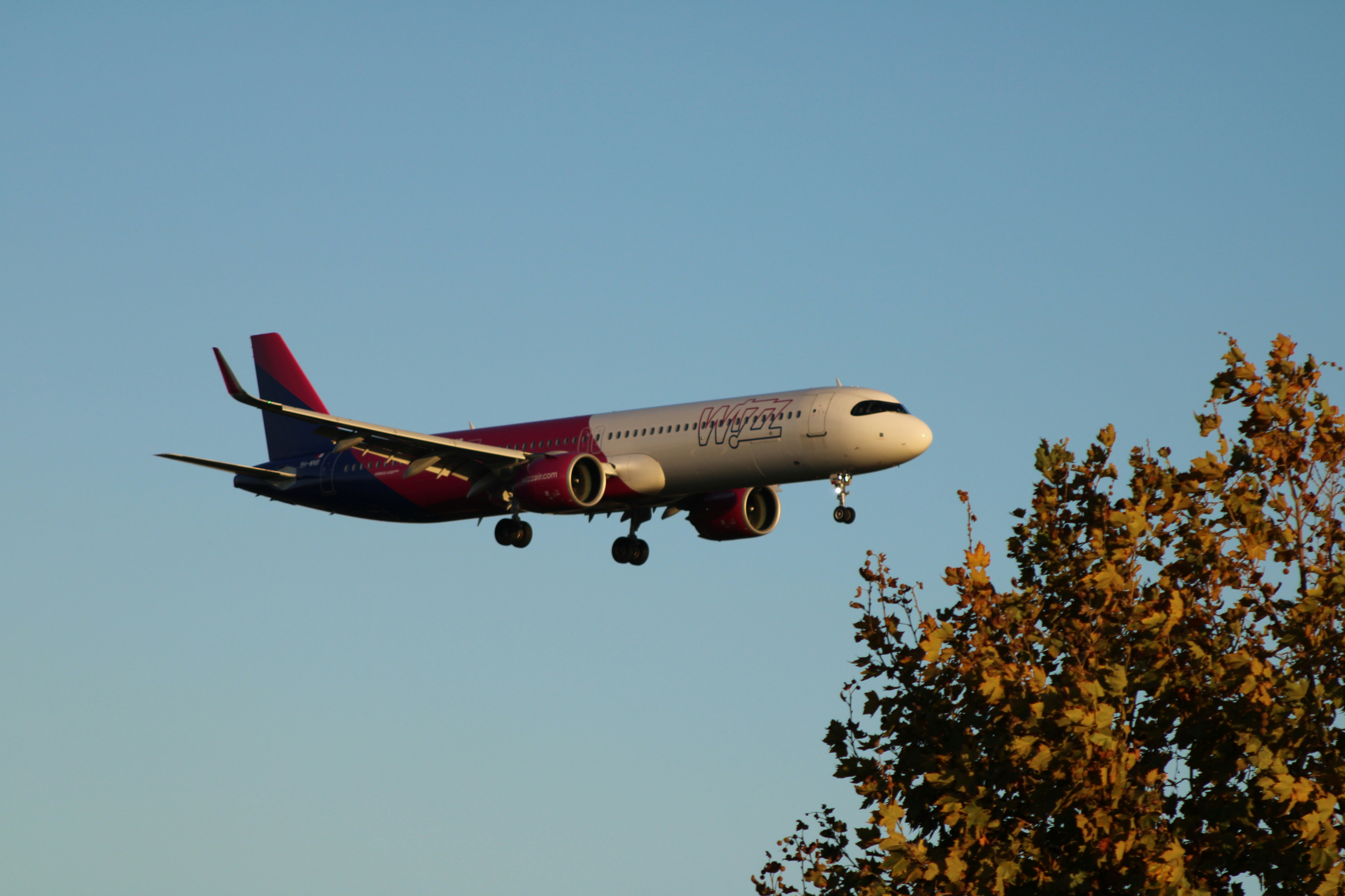 Soaring Through Autumn Skies