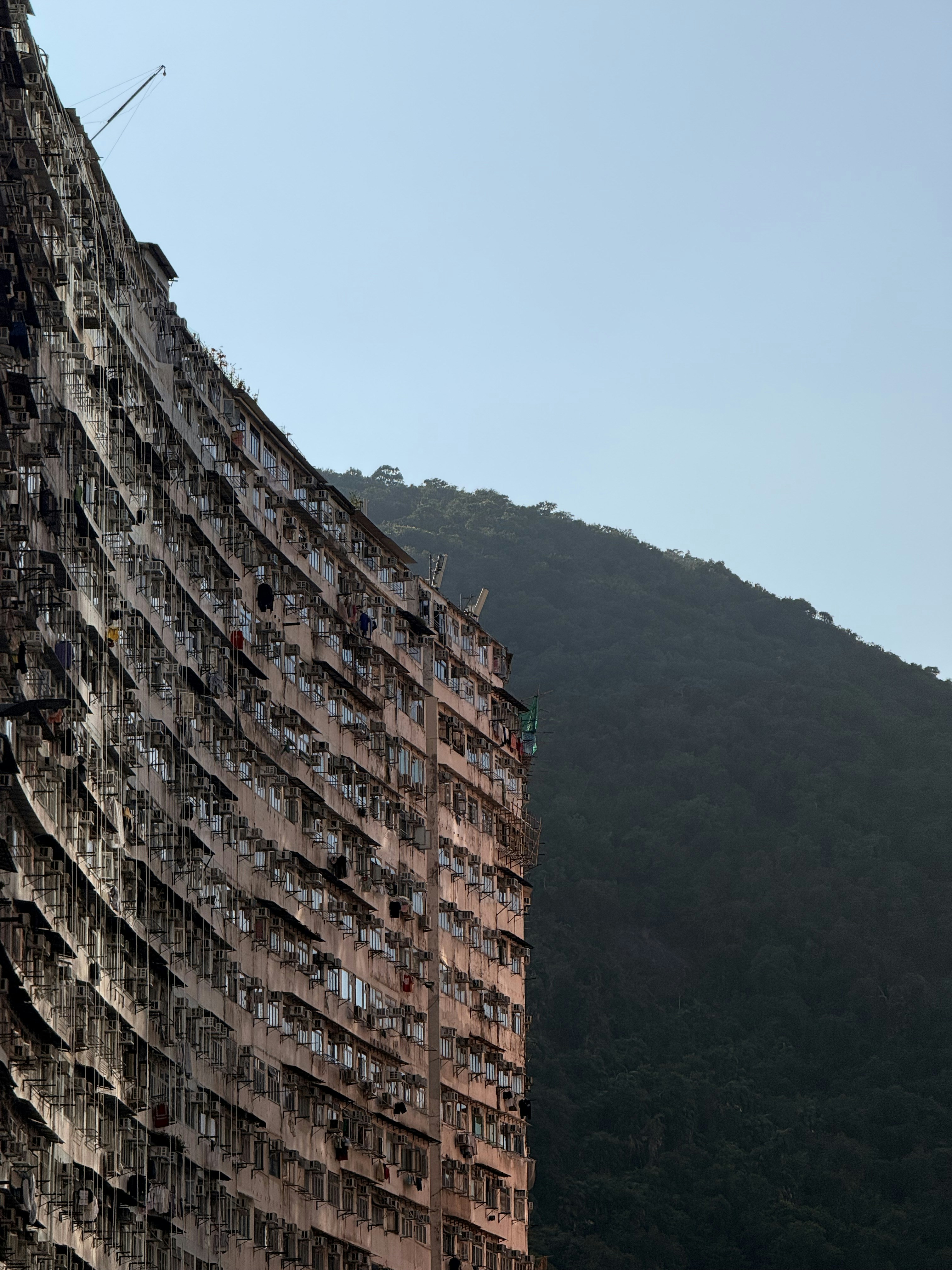The Urban Wave: Architectural Curves Against Nature's Backdrop