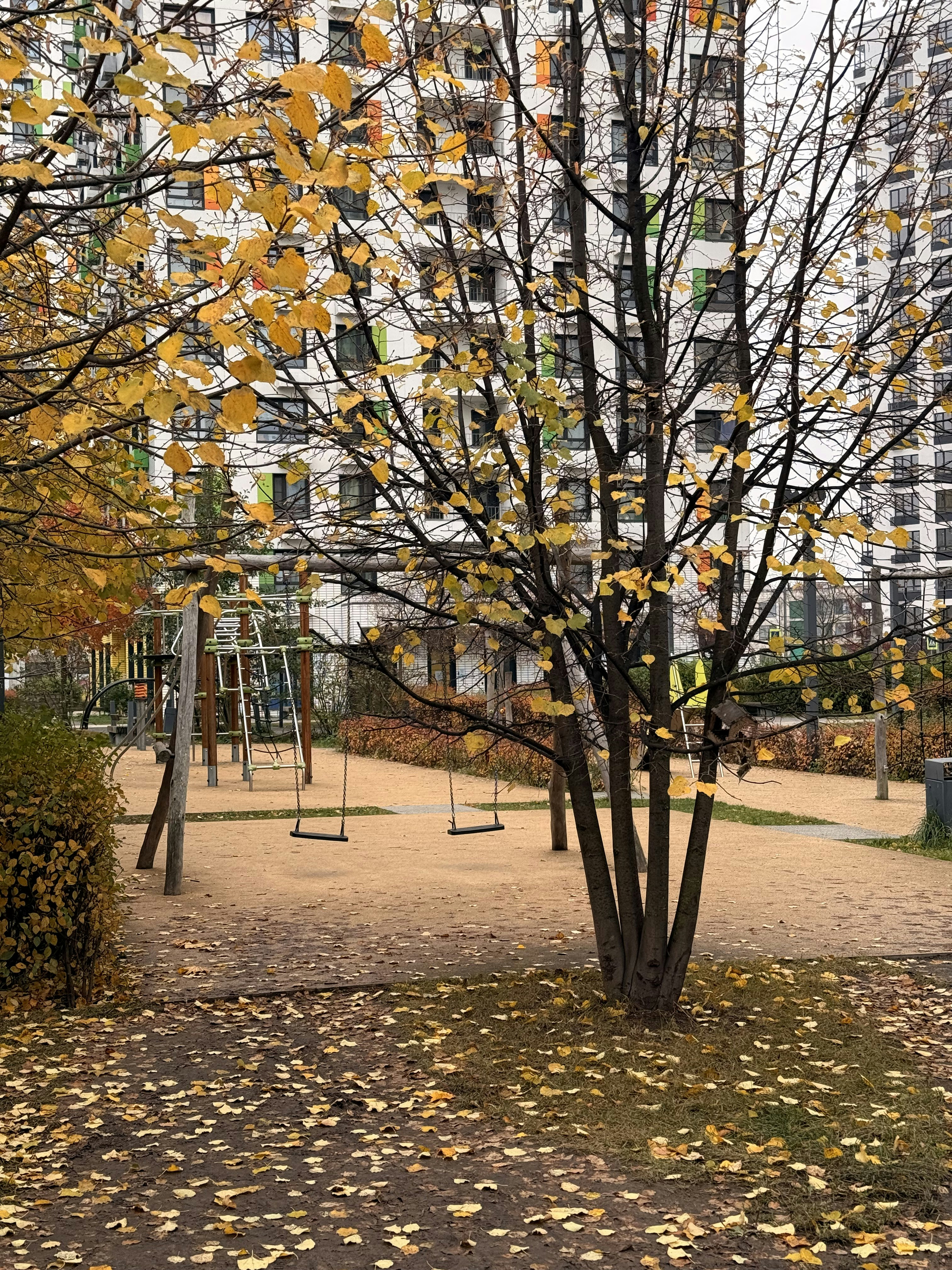 Autumn's Embrace in Urban Playgrounds