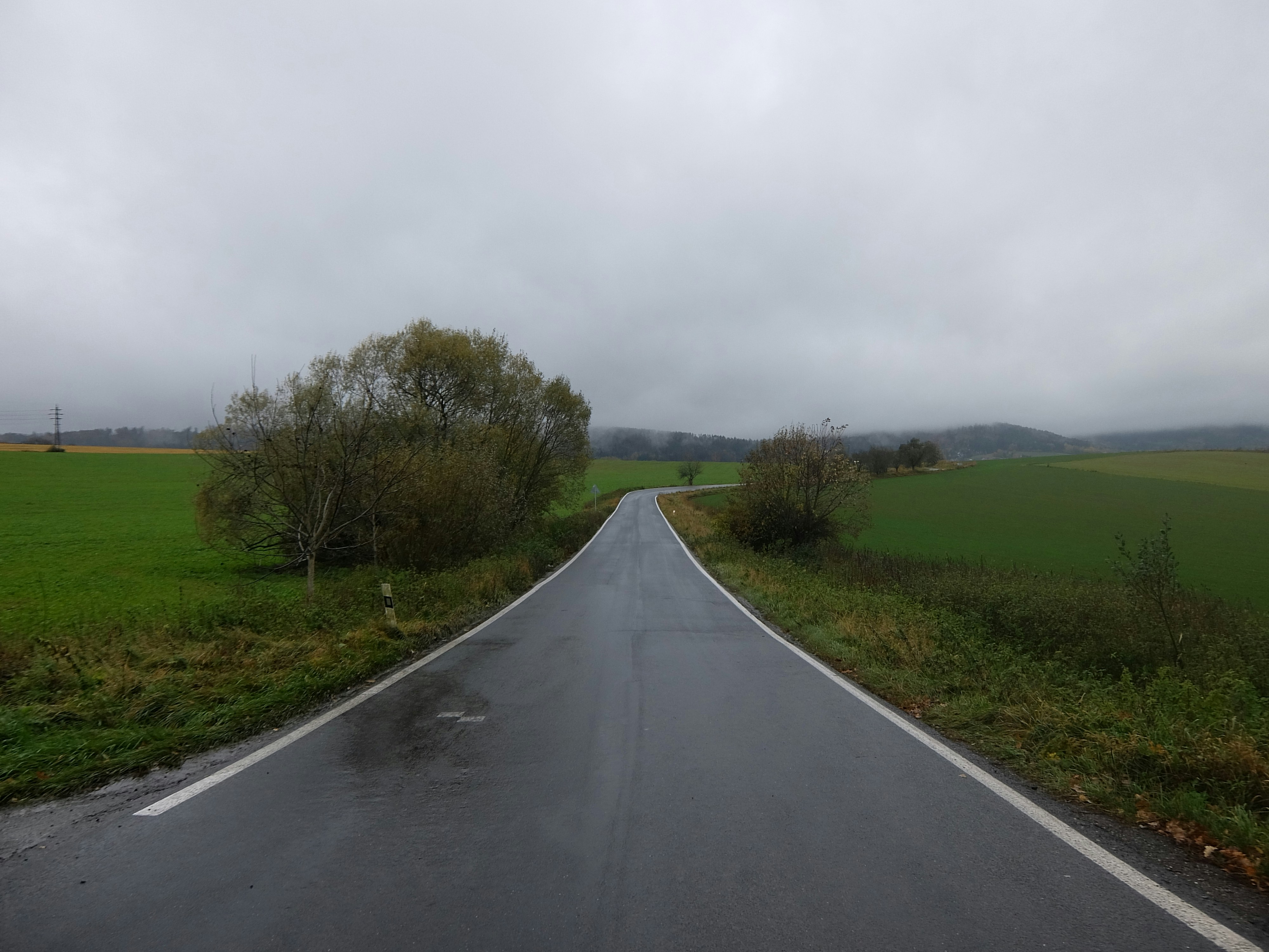 Wet asphalt road through green fields under cloudy sky