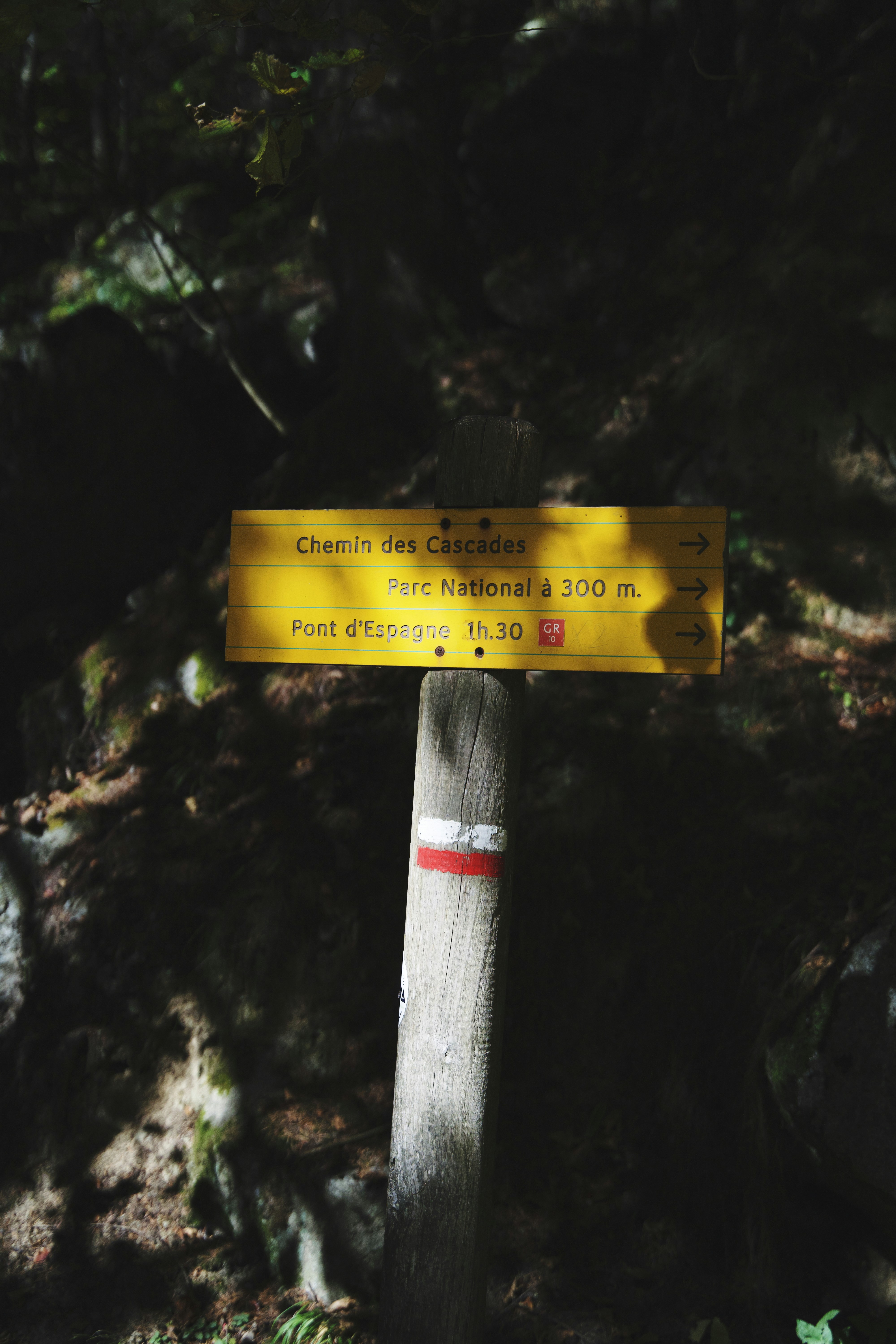 A road sign on a hiking trail in the Pyrenees. | Yellow signpost with trail markers in forest