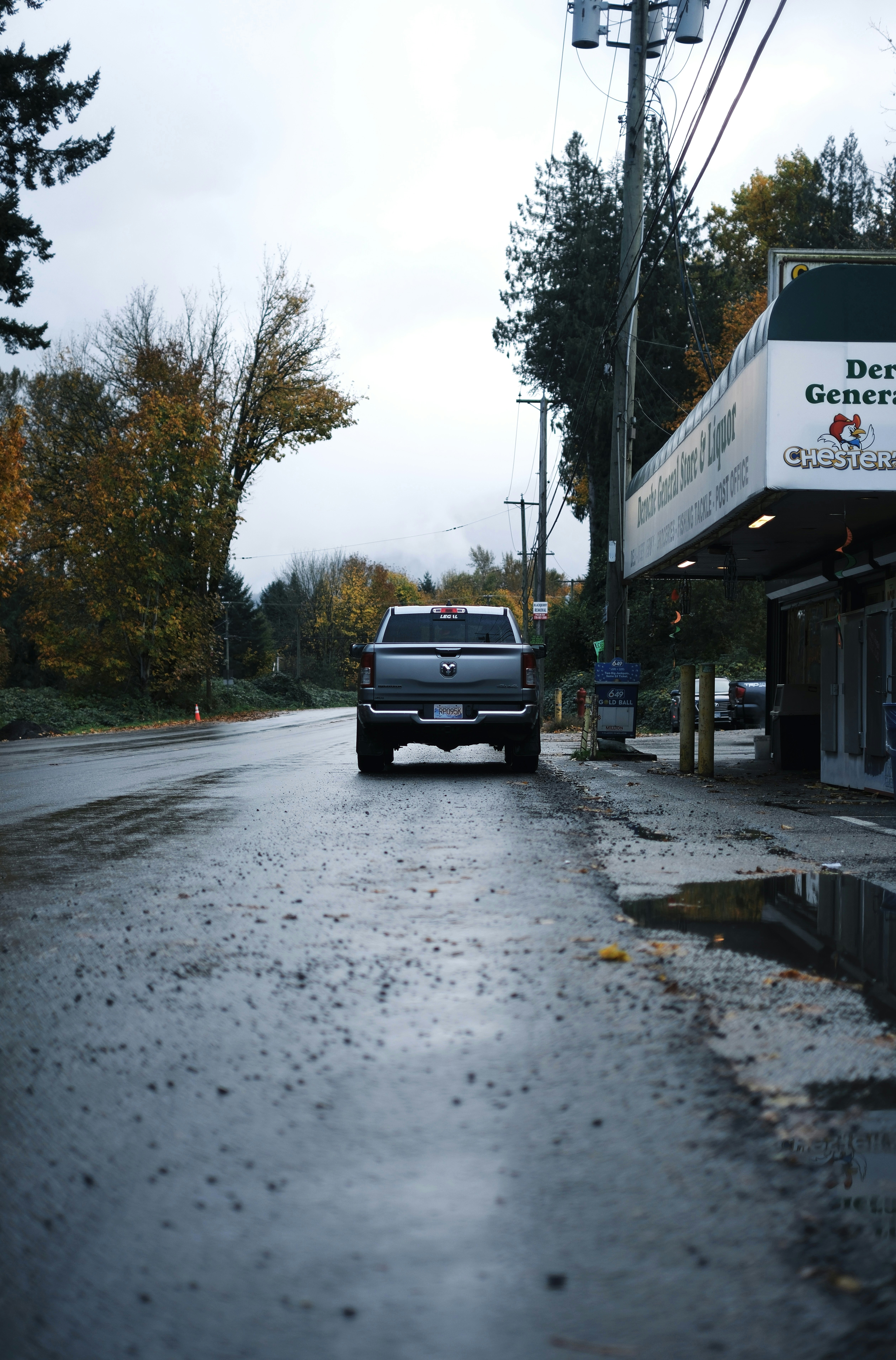 Centerline in Rain: A Quiet Street Framed by Autumn Trees