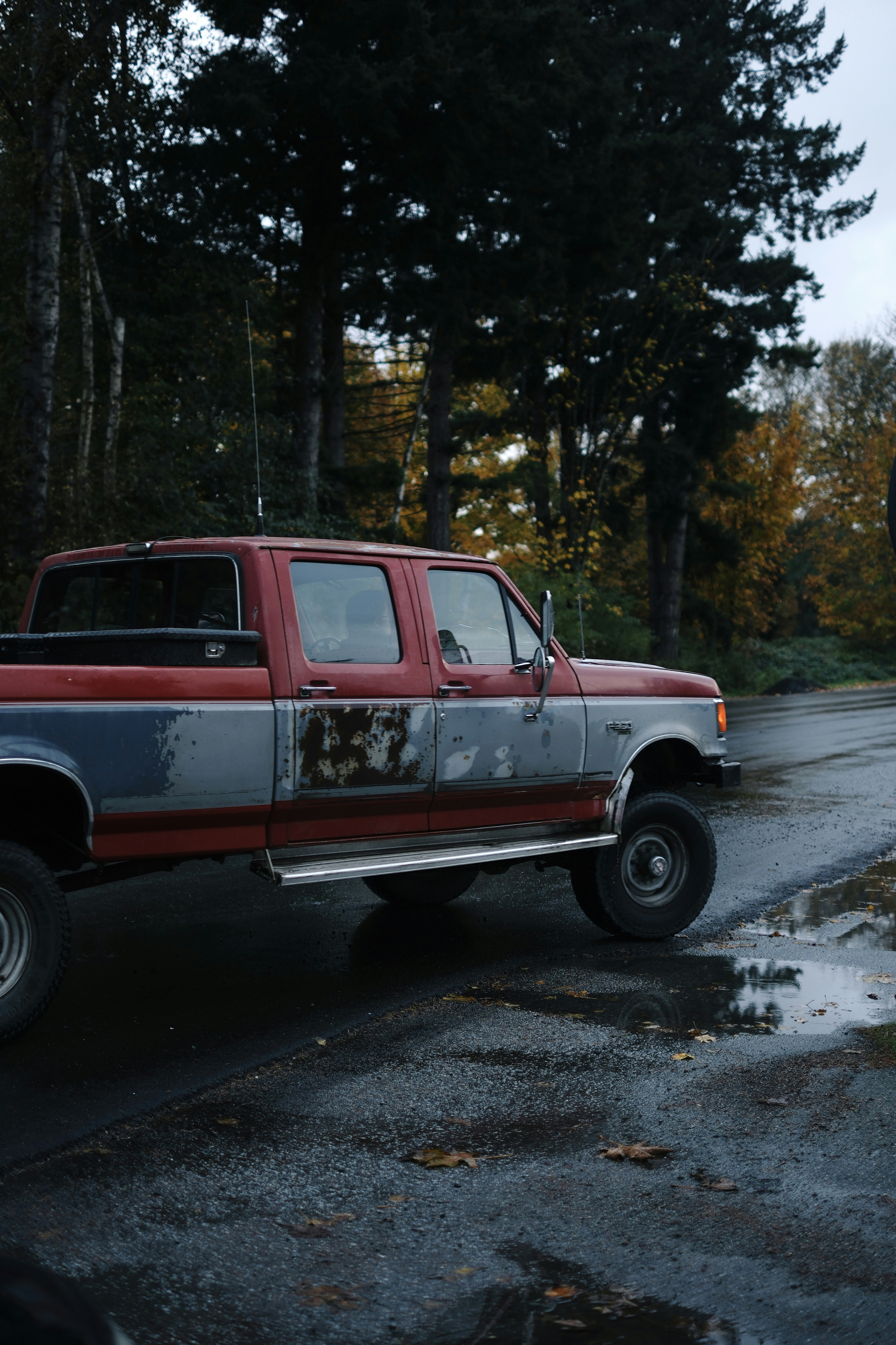Rust and Resilience: A Classic Truck's Tale