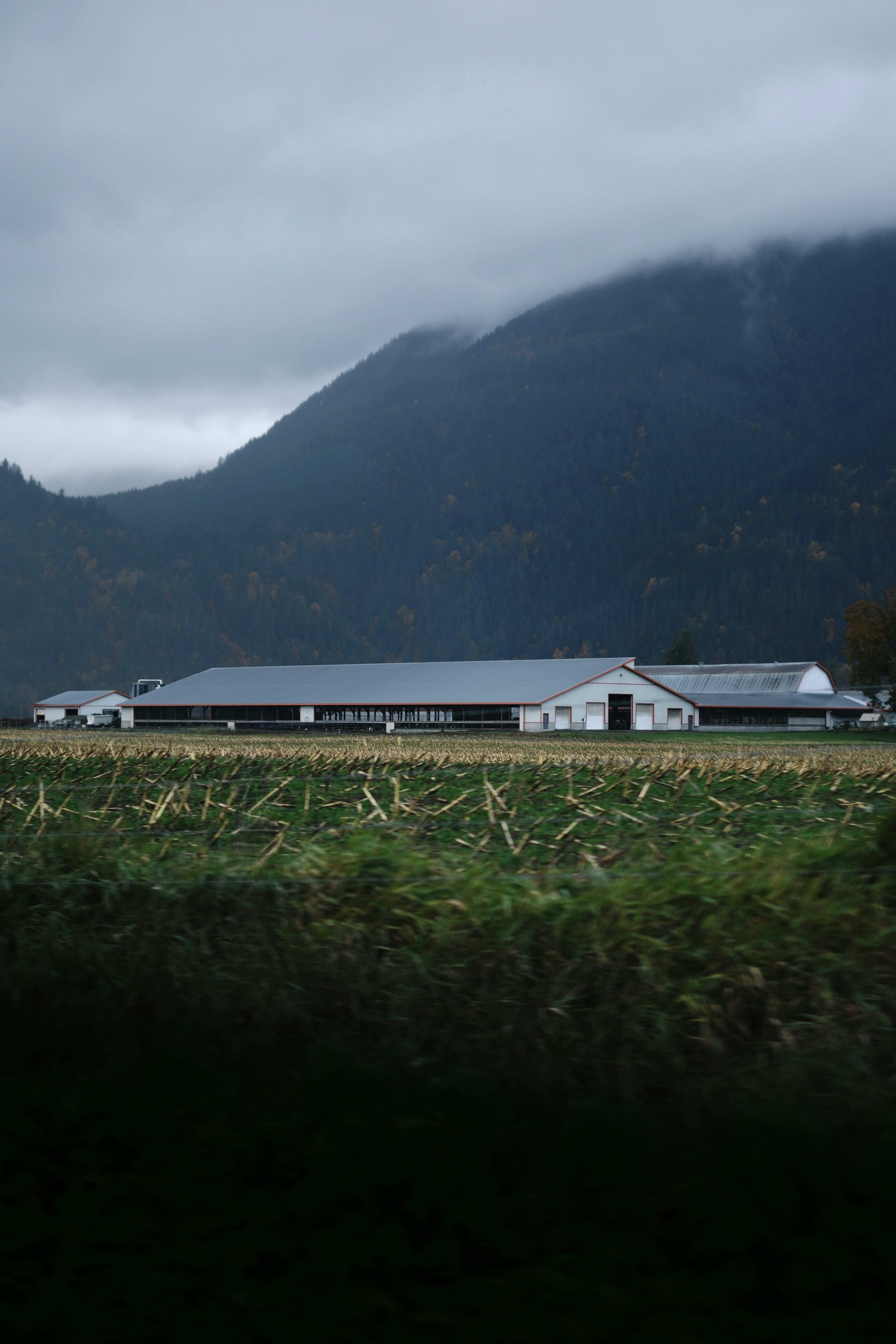 Instagram - @kaprion | Farm buildings in front of a misty mountain