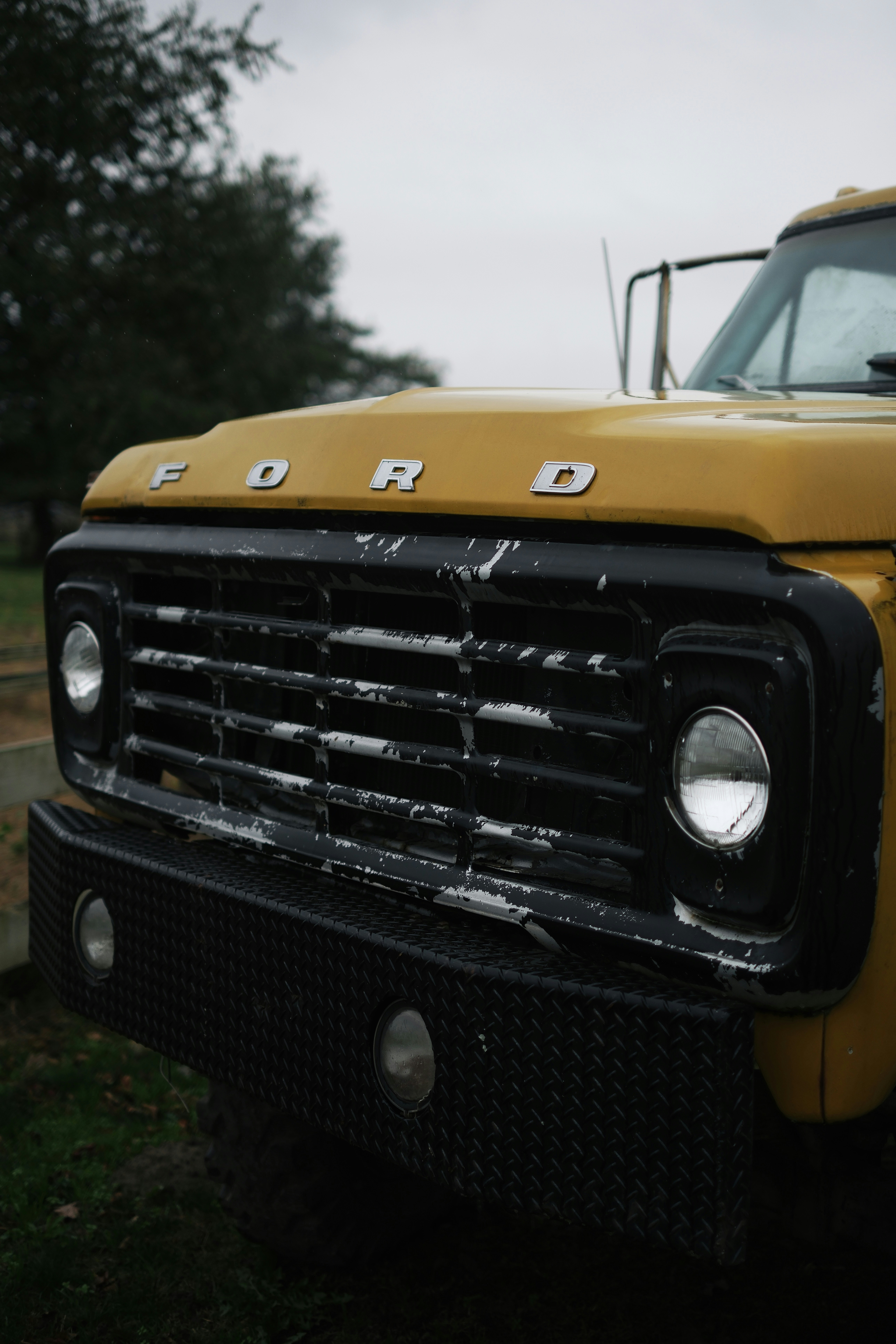 Rustic Resilience: The Iconic Ford Face
