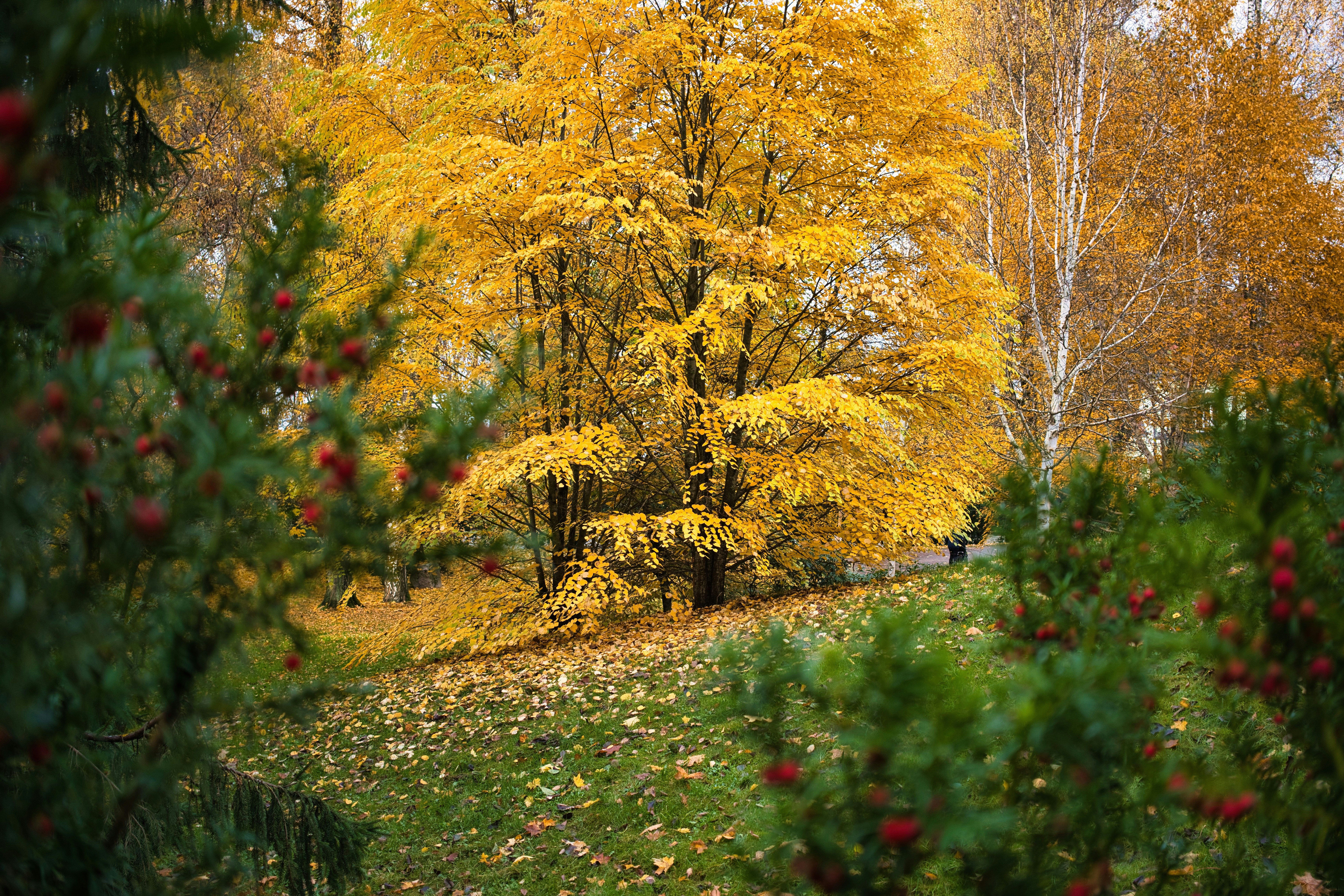 Sample photo from Fujifilm X-E5