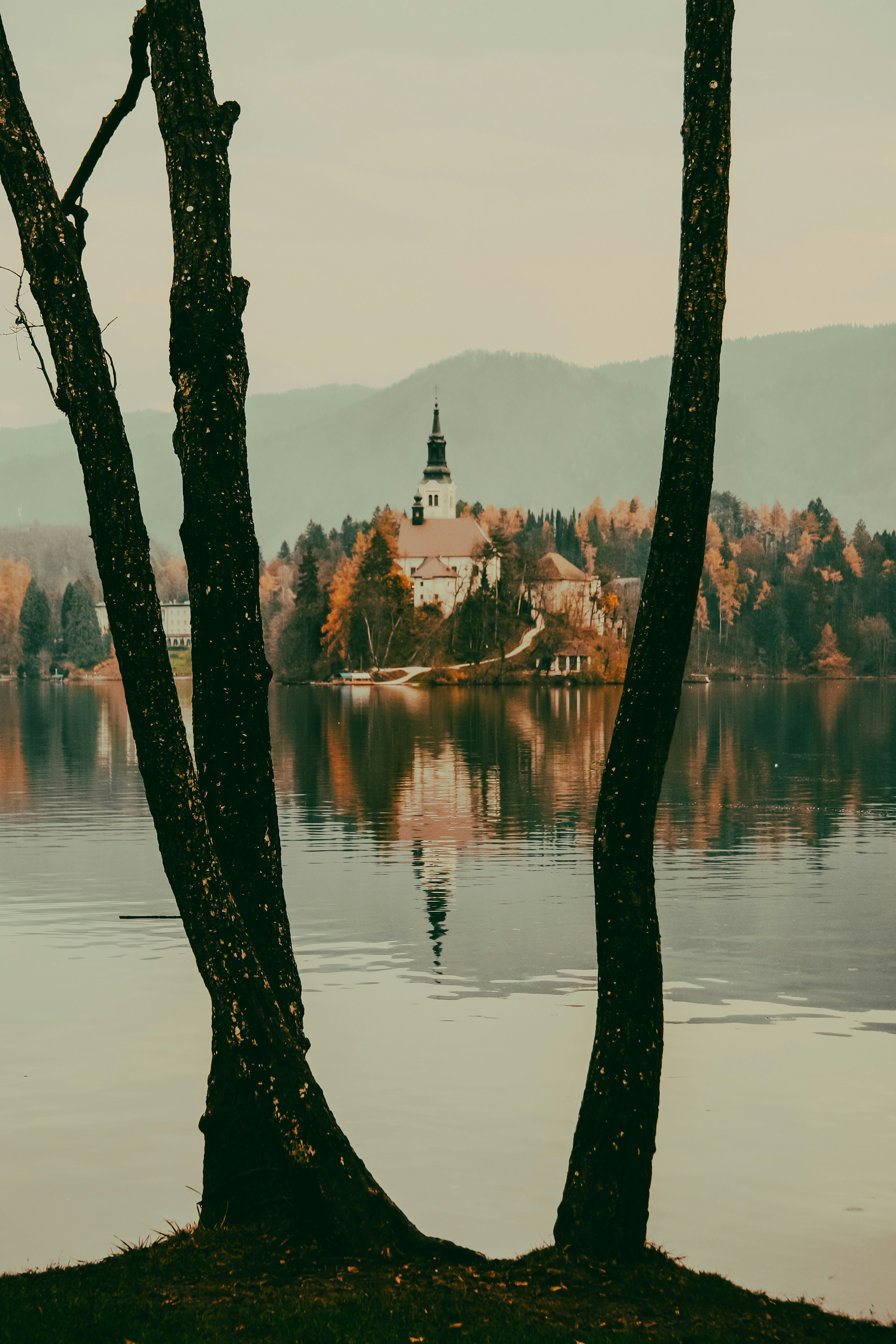 Whispers of Tranquility by the Lake