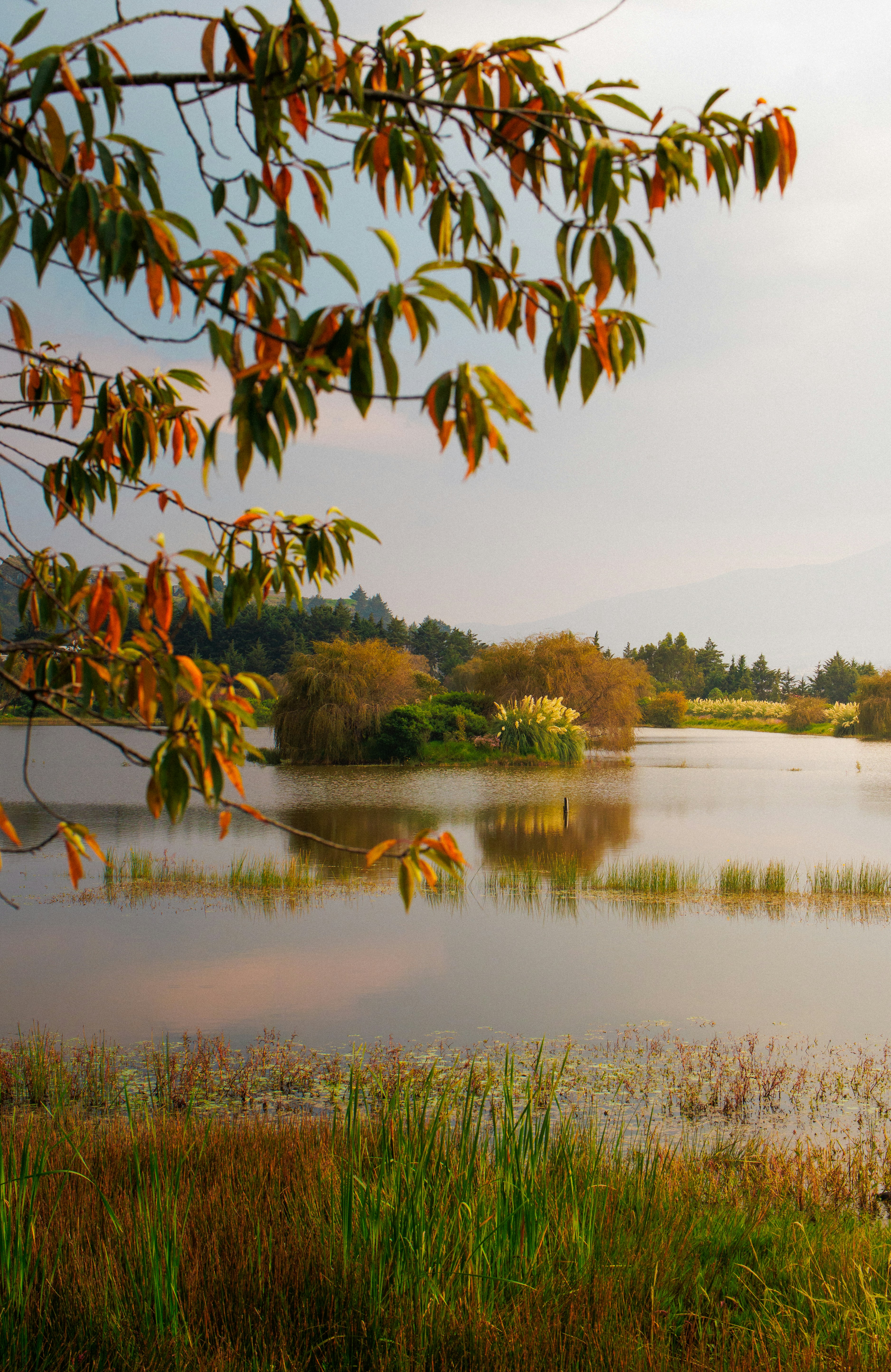 Whispers of Tranquility: A Serene Lakeside Retreat