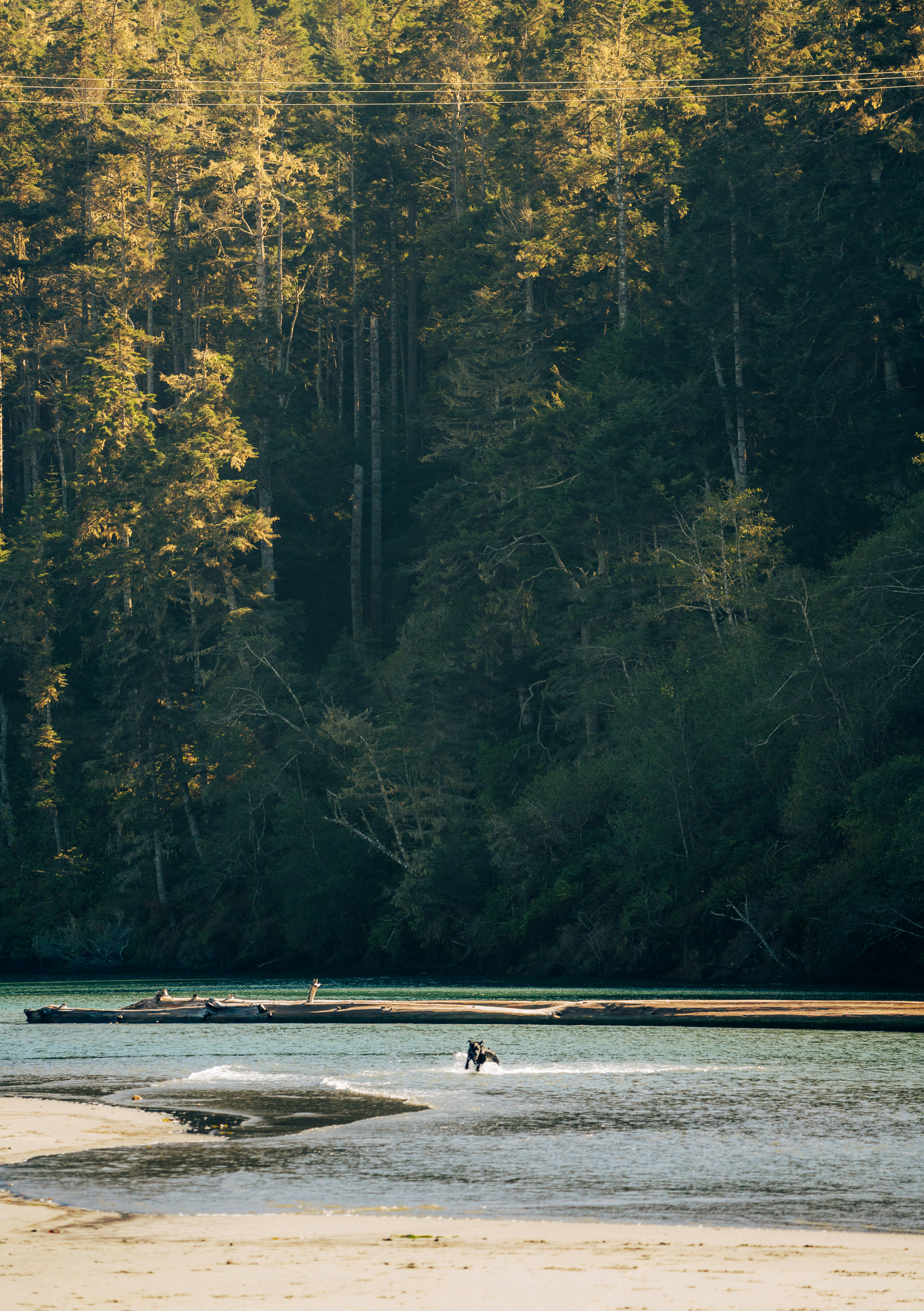 Harmony of Nature and Adventure