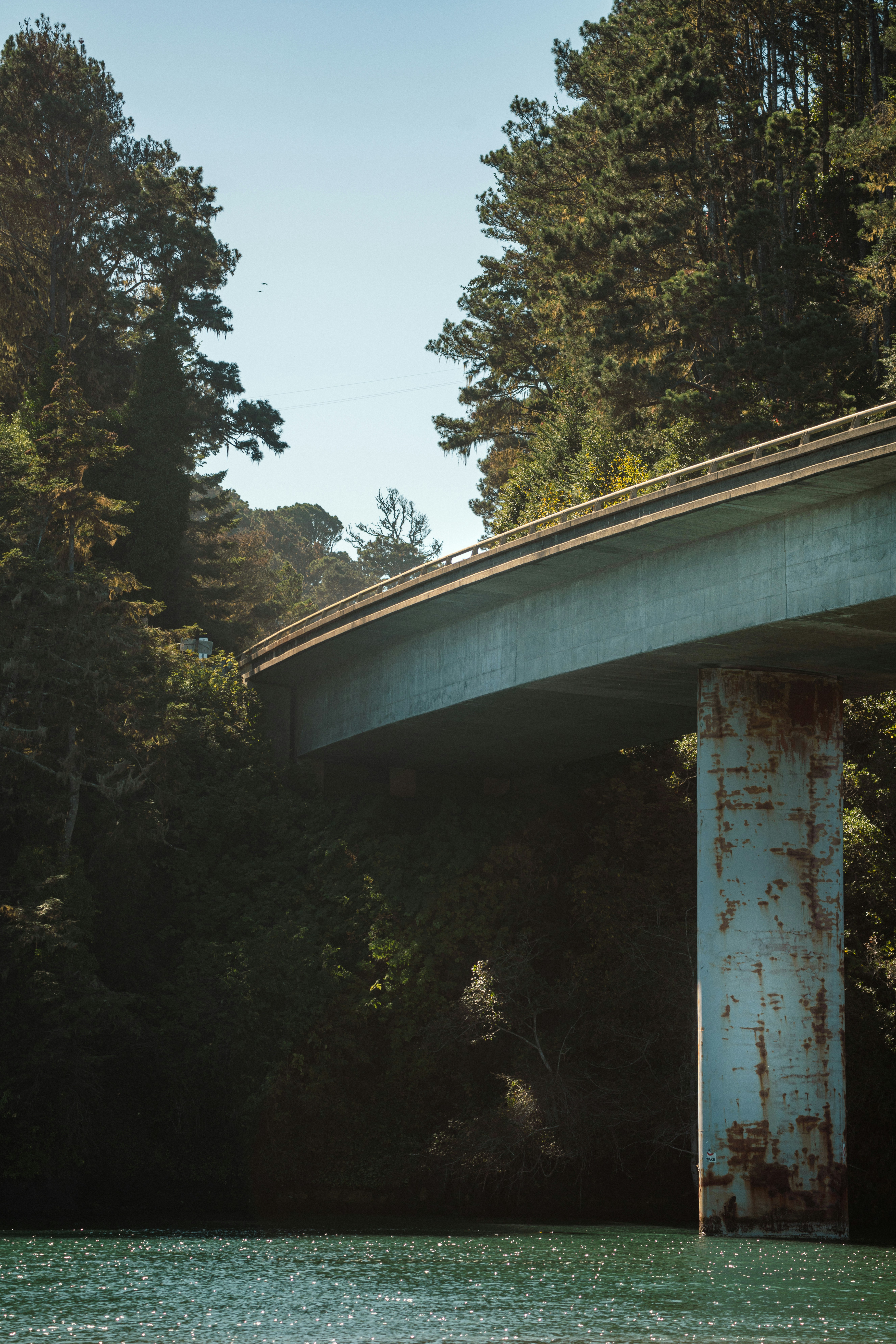 Concrete bridge over blue water surrounded by trees