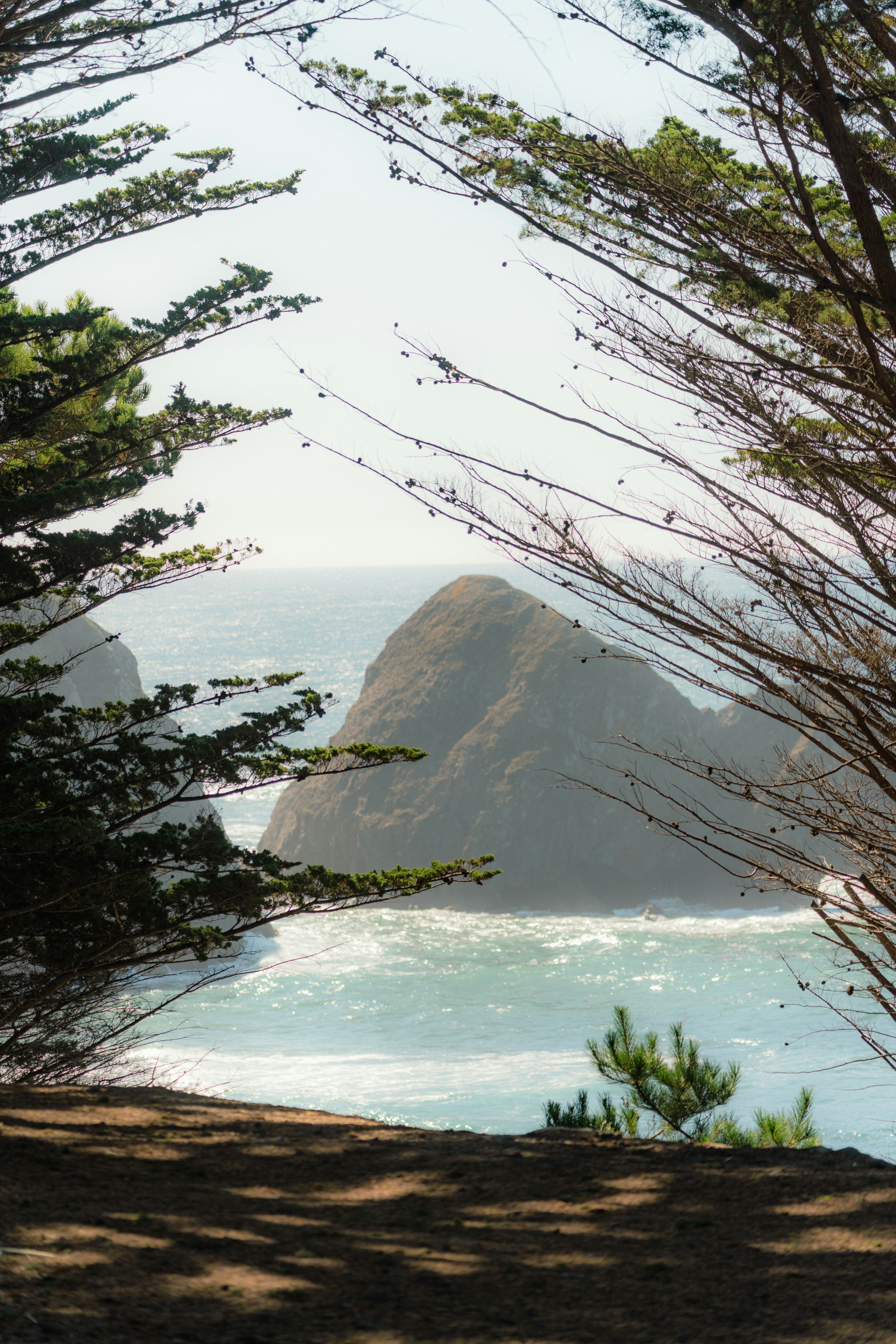 Rocky island in the ocean seen through trees