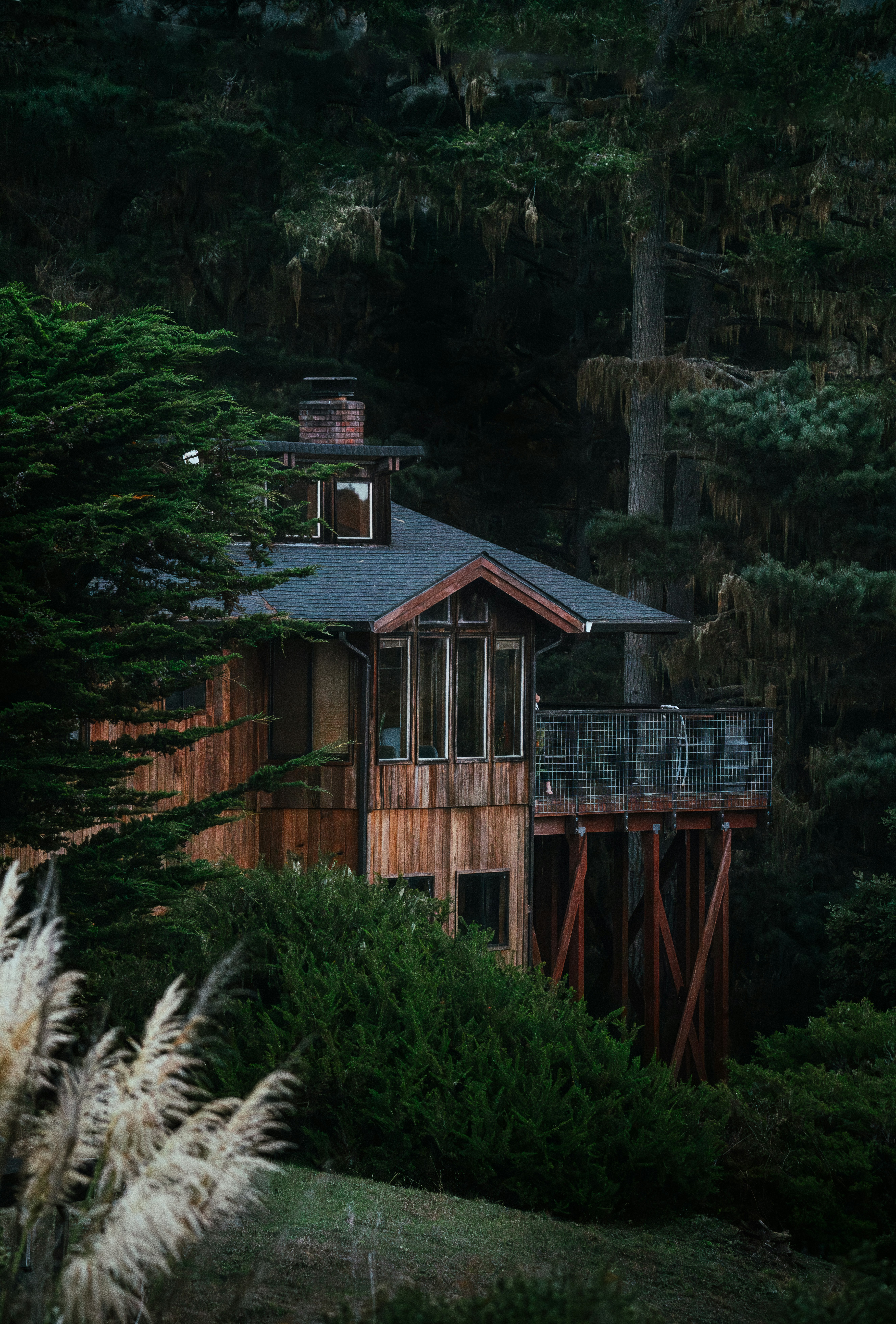 Whispers of Nature: A Rustic Retreat Amongst the Trees