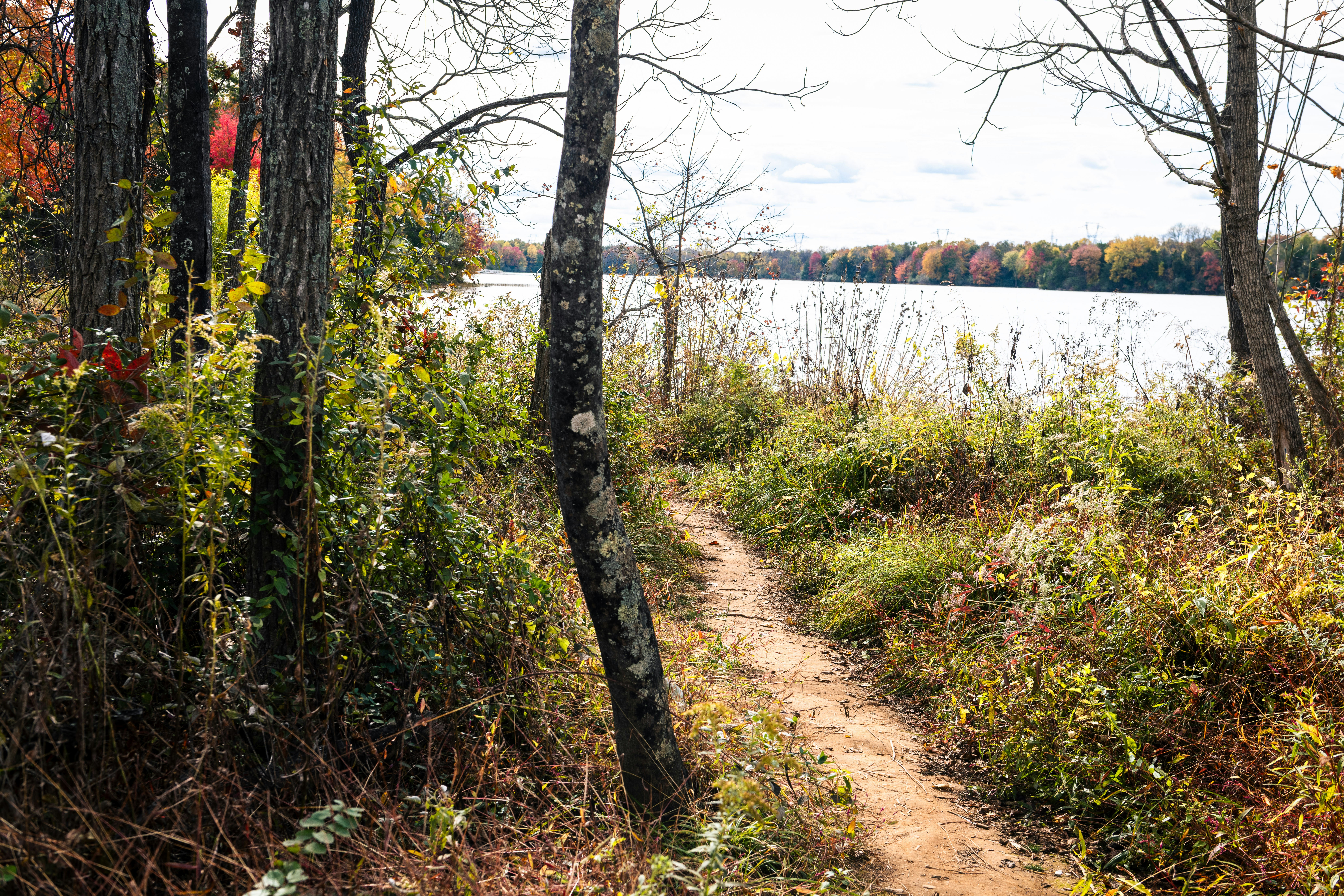 Whispers of Autumn Along the Waterside Trail