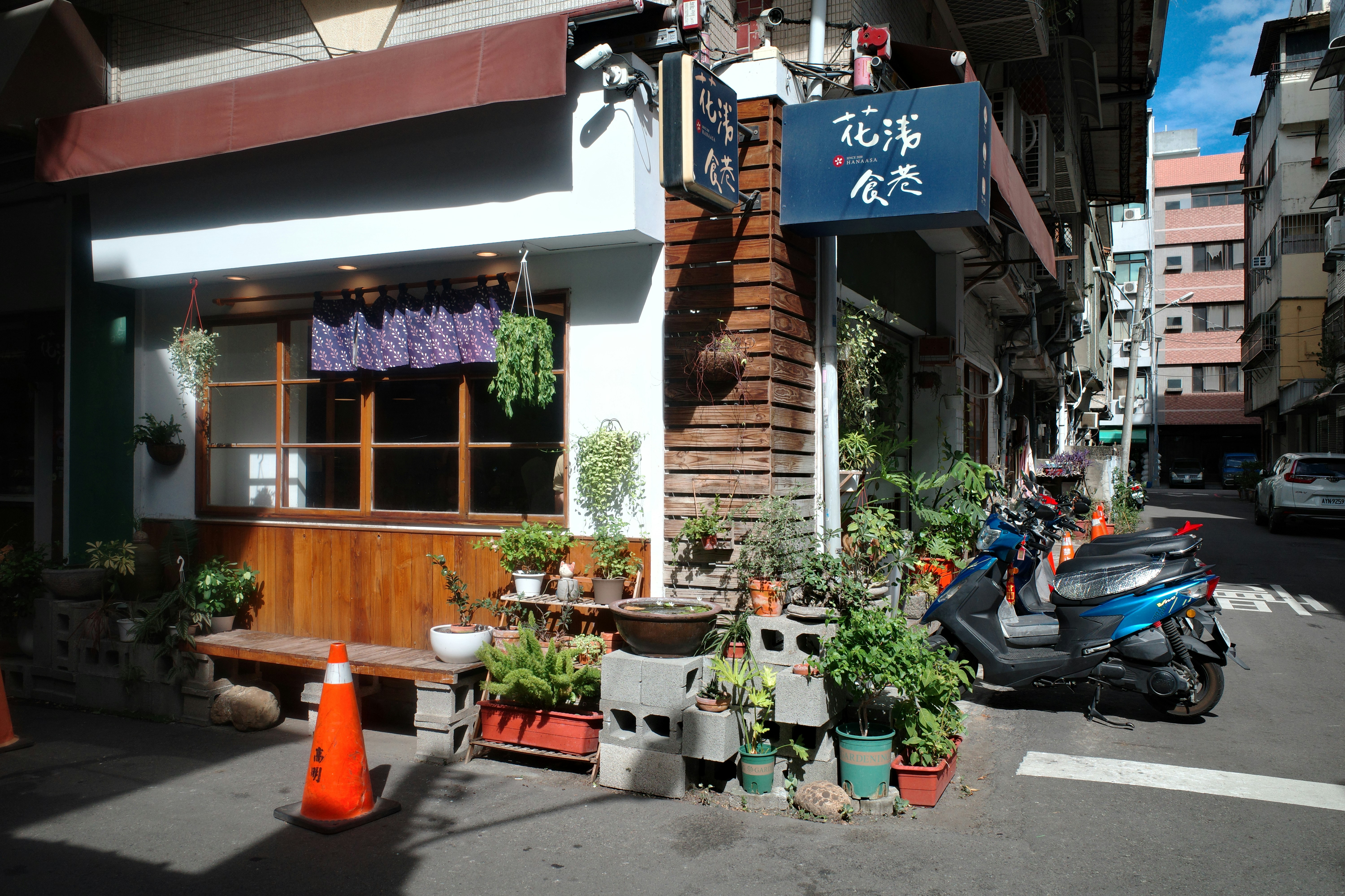 A quaint storefront with potted plants and a scooter.