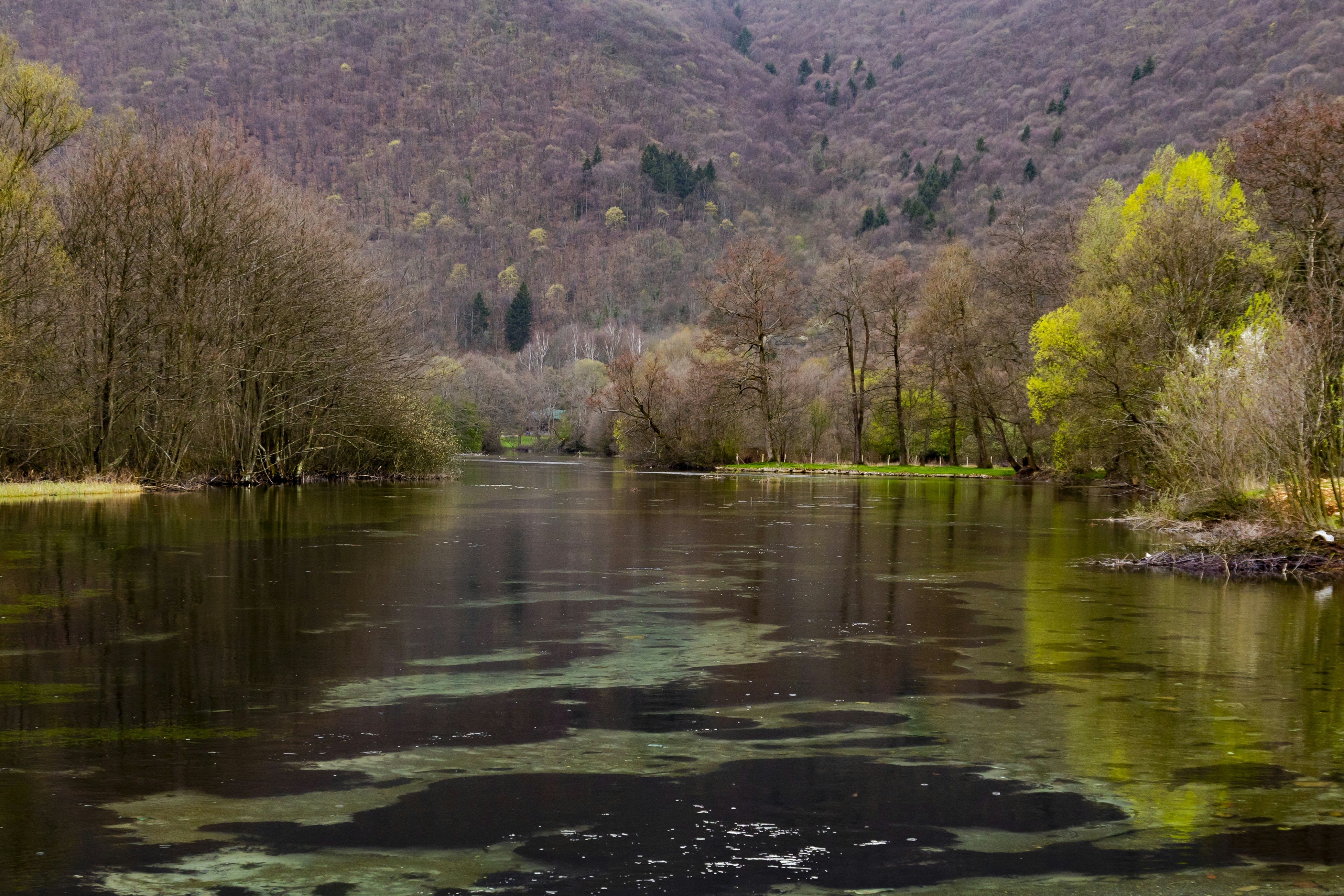 Reflections of Tranquility: A Serene Waterway in Autumn