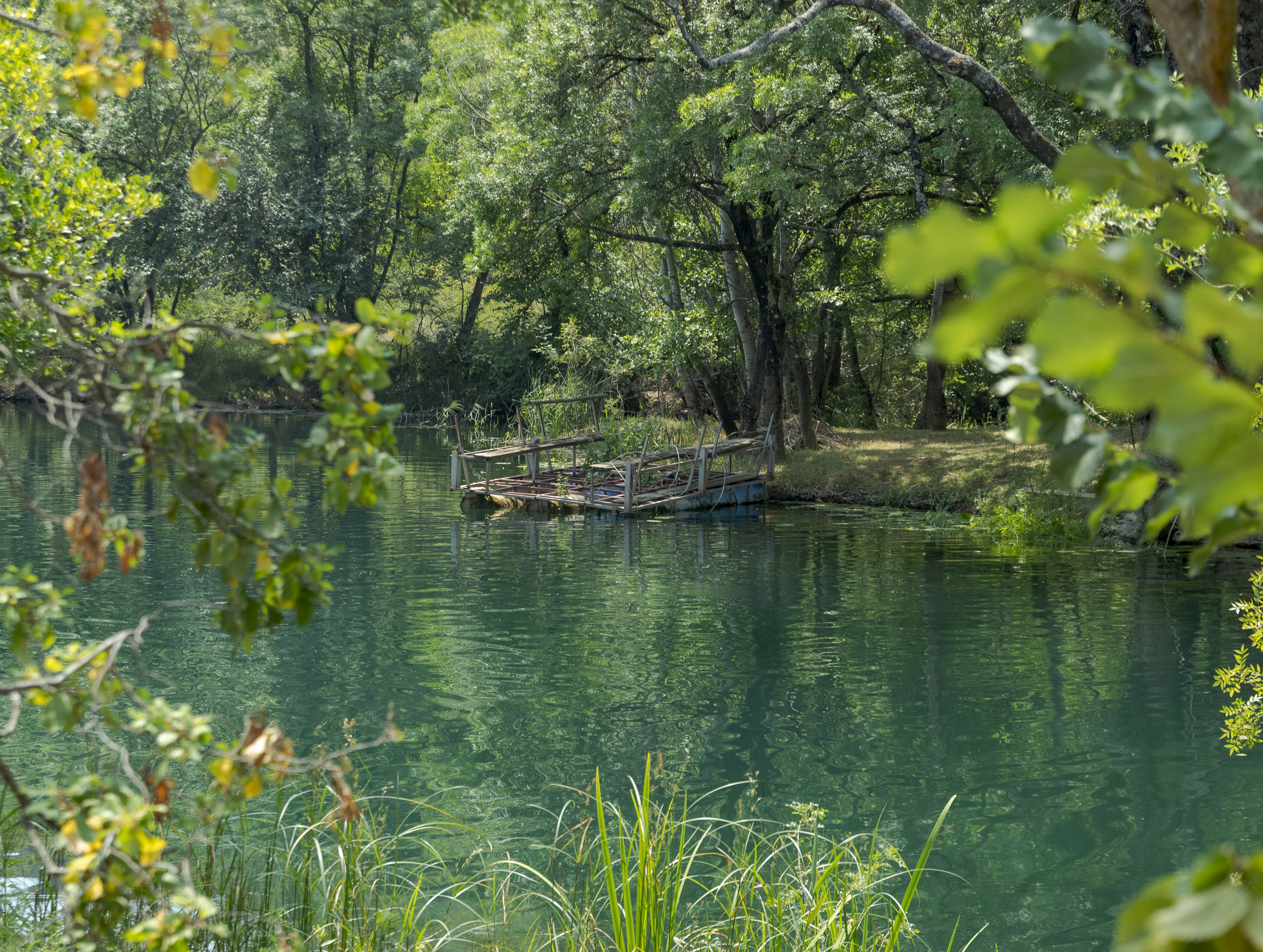A calm, clear river flows through a lush green forest.