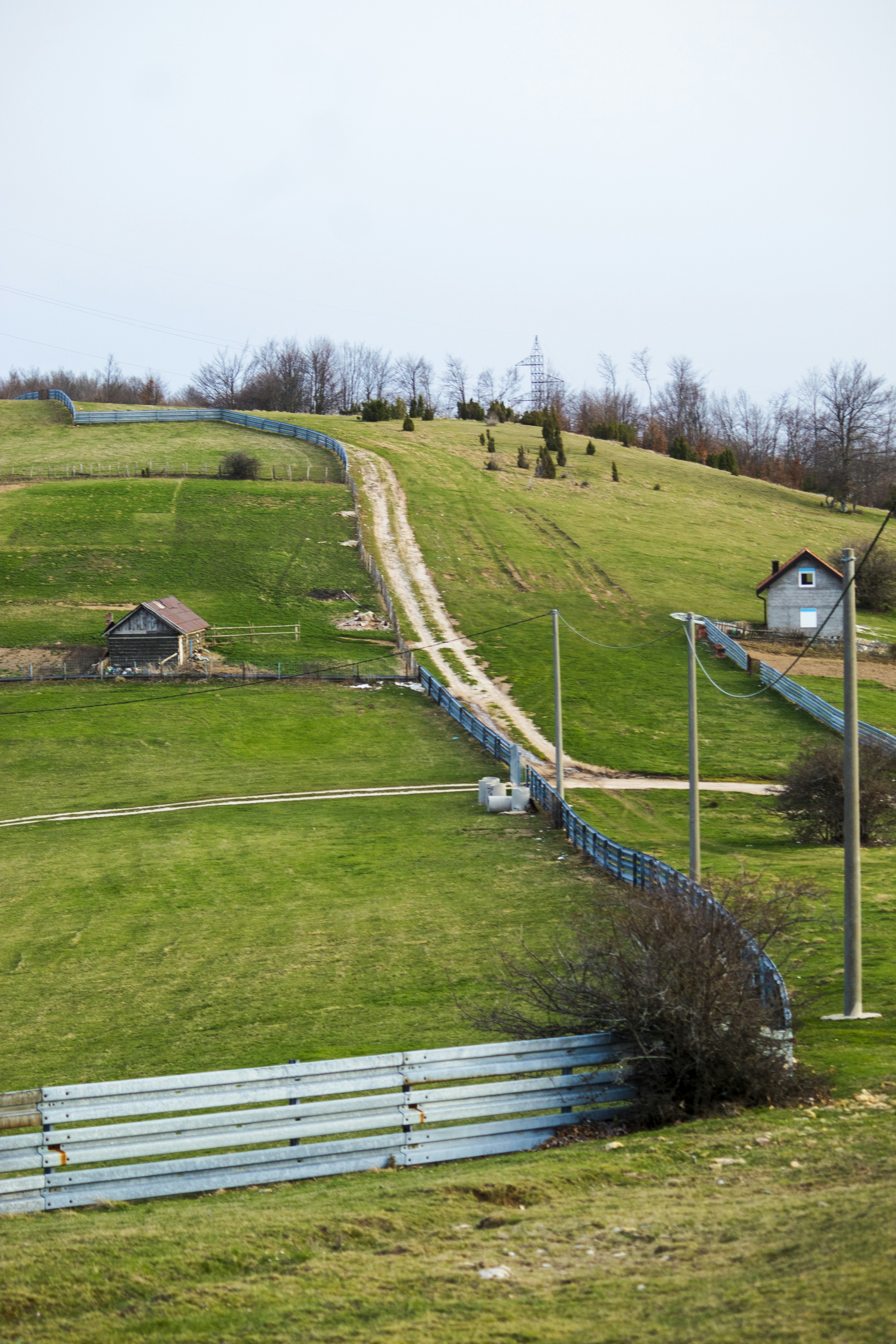 Meandering Path Through Serene Pastures