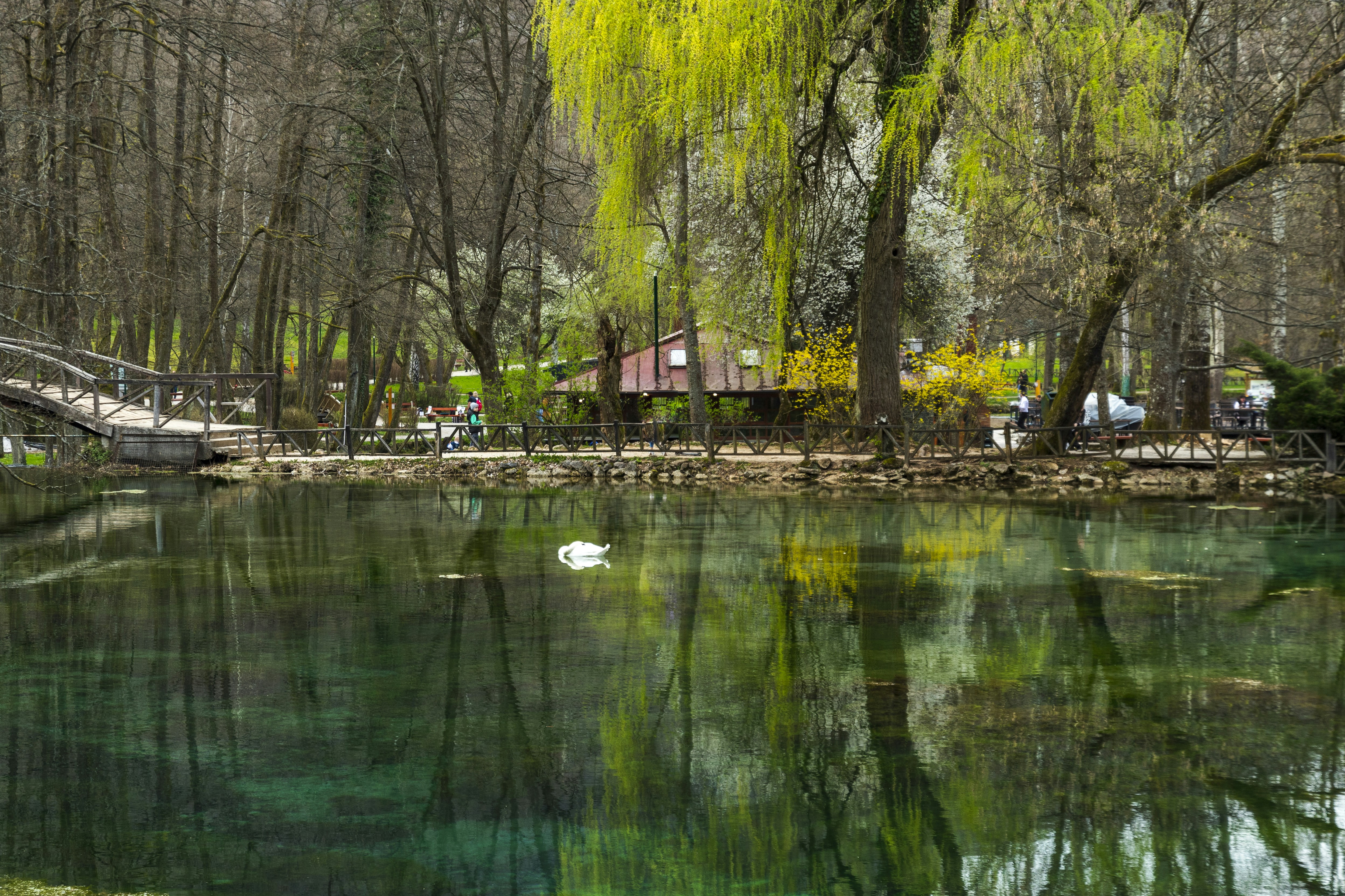 Tranquil lake reflecting trees and a small building.