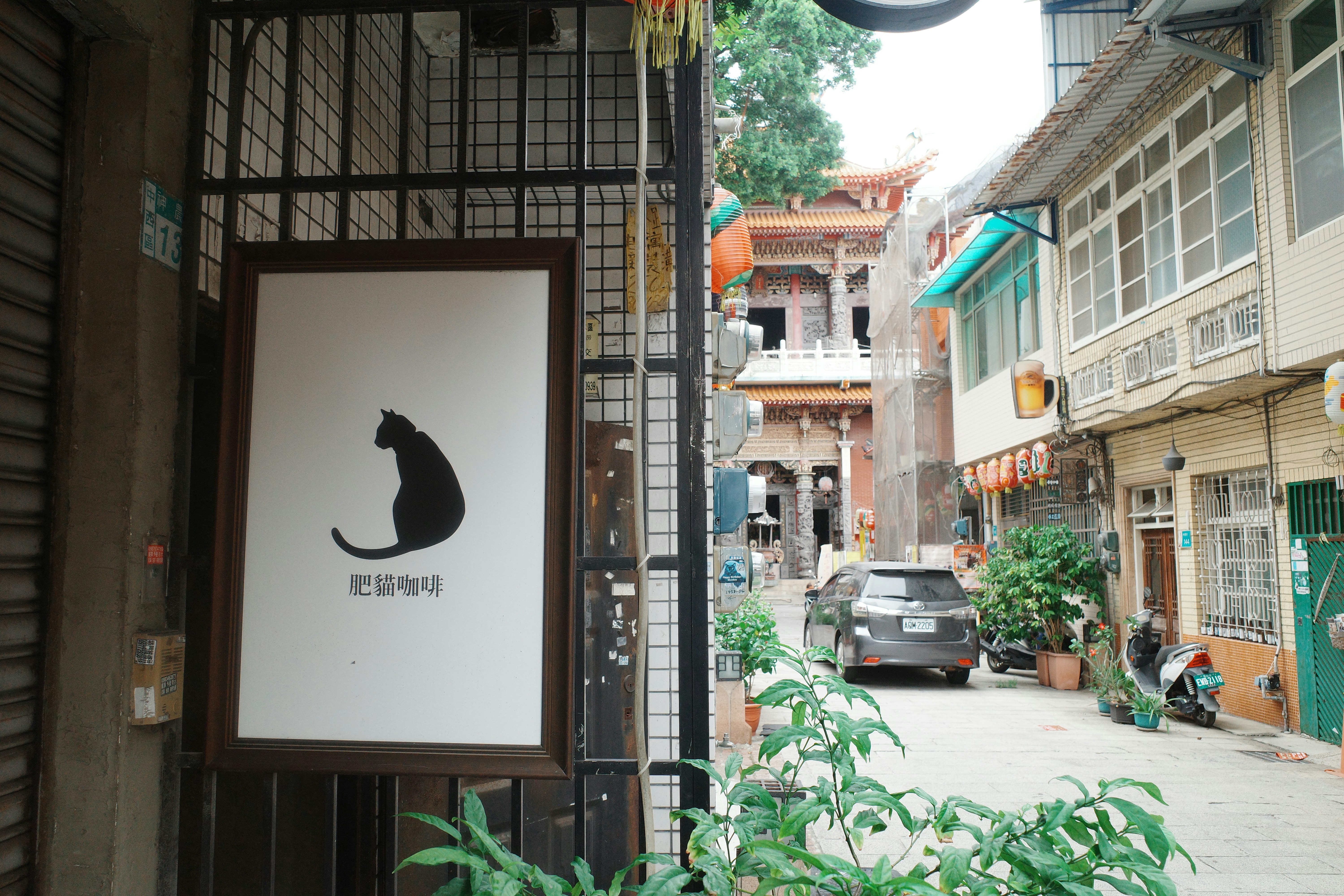 Whiskered Whispers: A Gateway to Serenity
