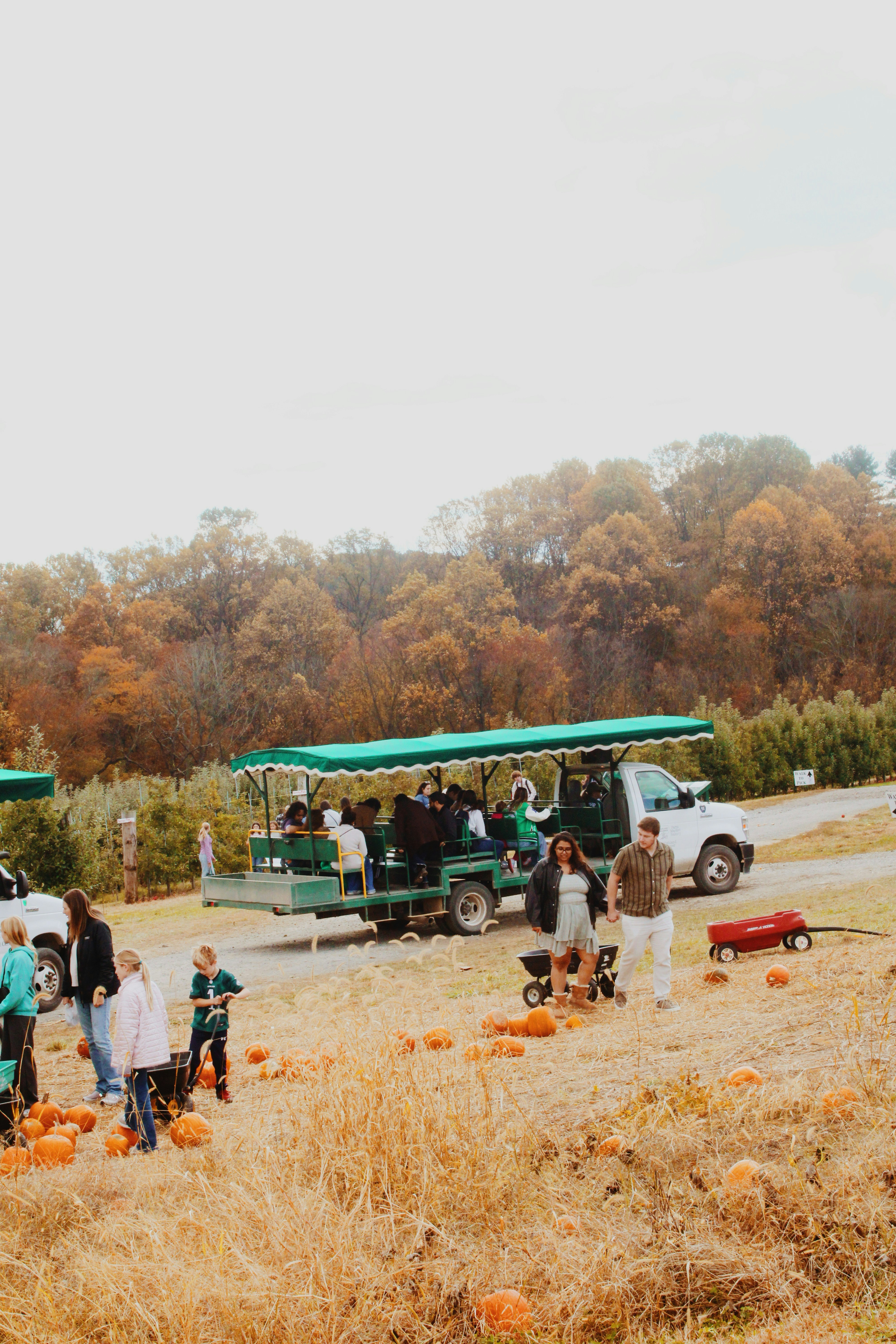 People at a pumpkin patch with a hayride