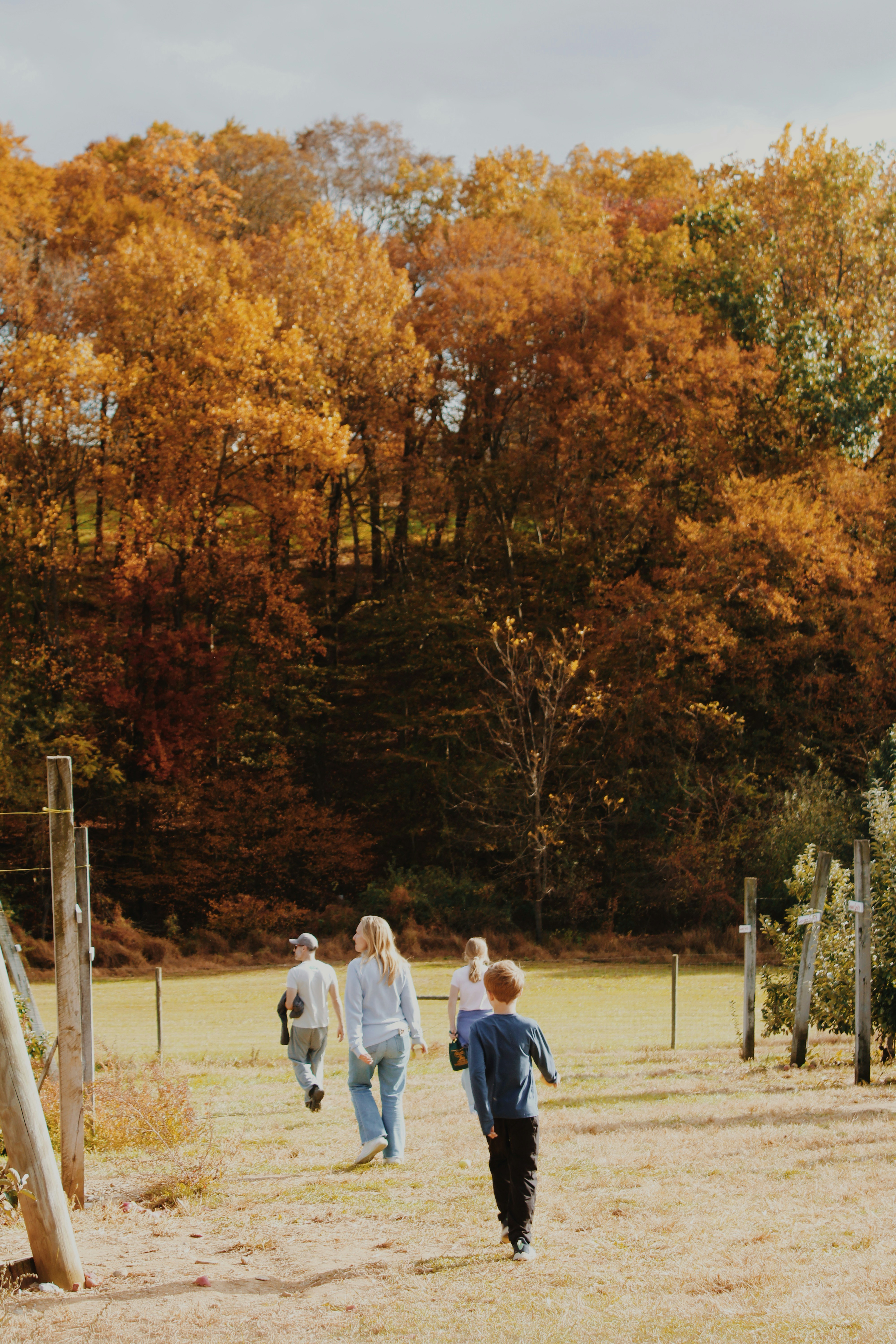 Group of children and an adult walking through a field lined with wooden posts, surrounded by vibrant autumn foliage. 