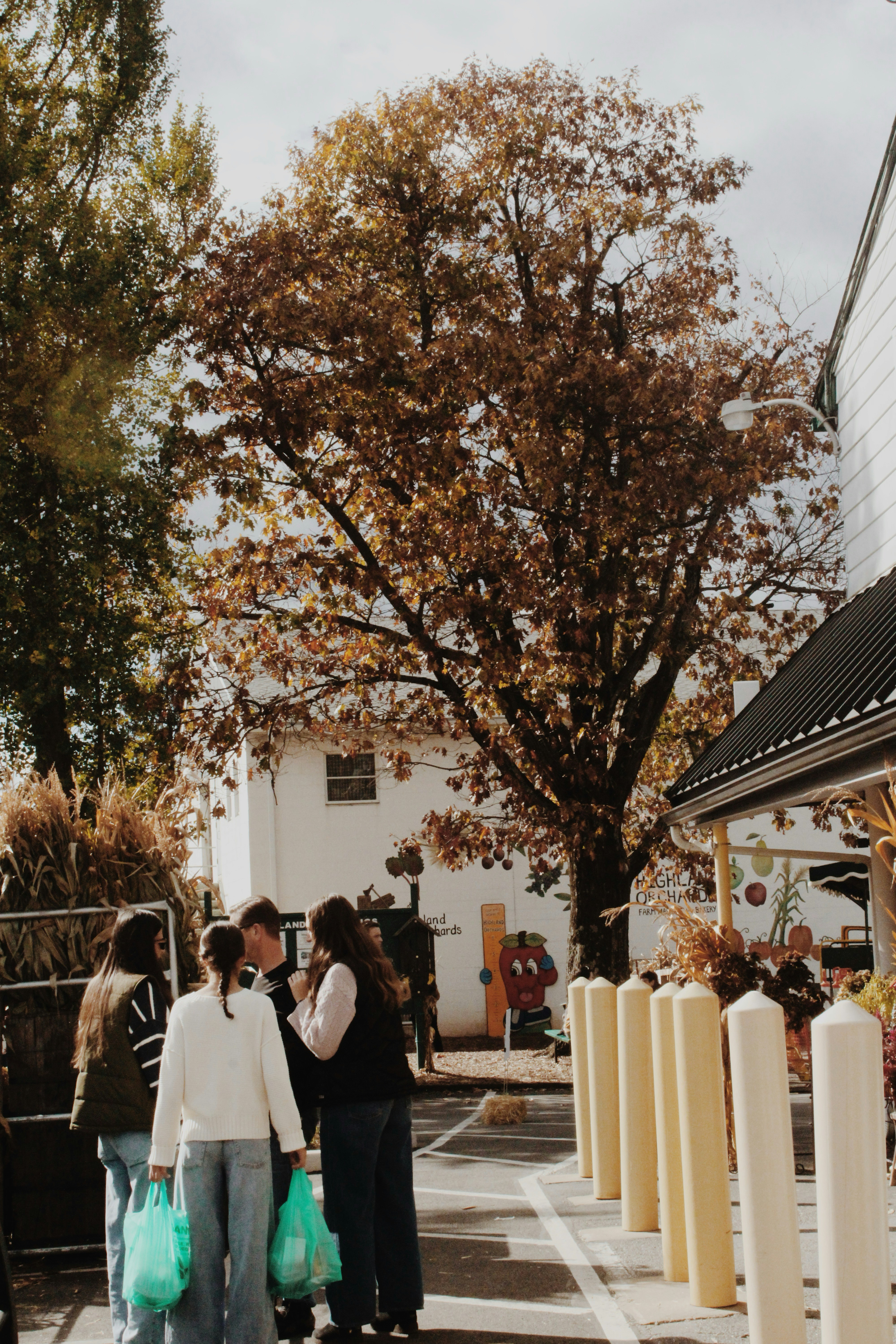 People walk by a tree with autumn leaves