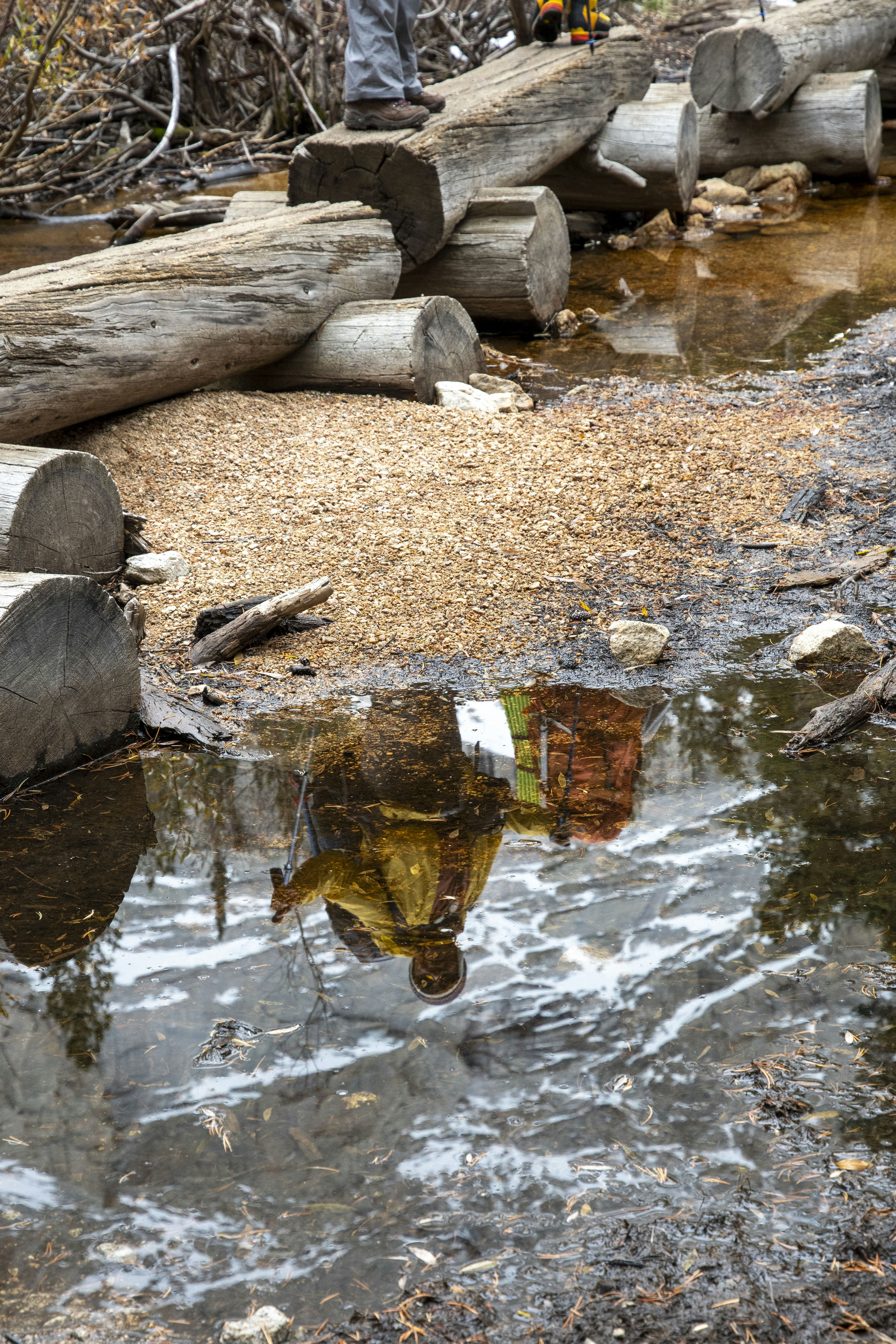 Reflections on Nature's Canvas