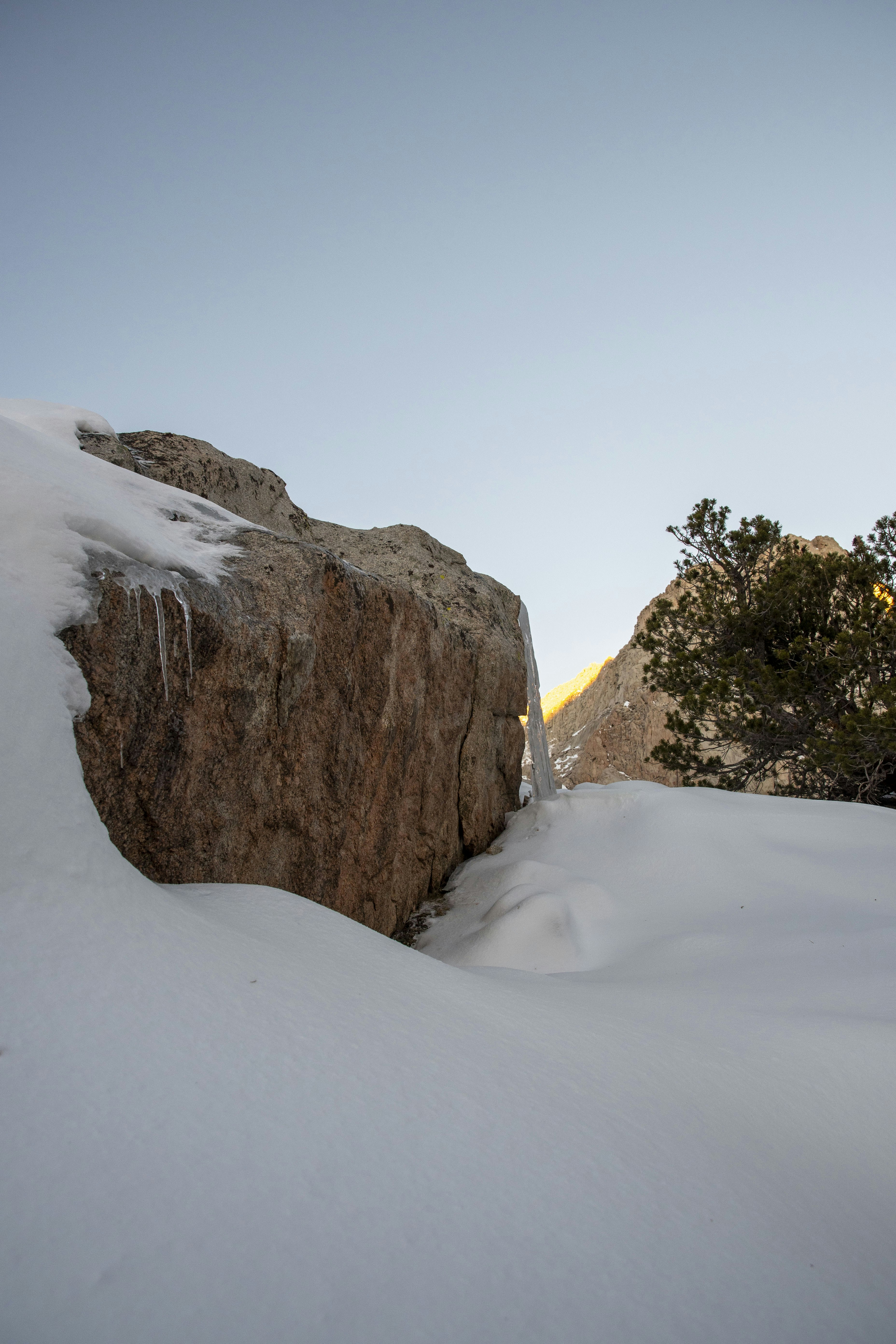 Nature's Frozen Artistry