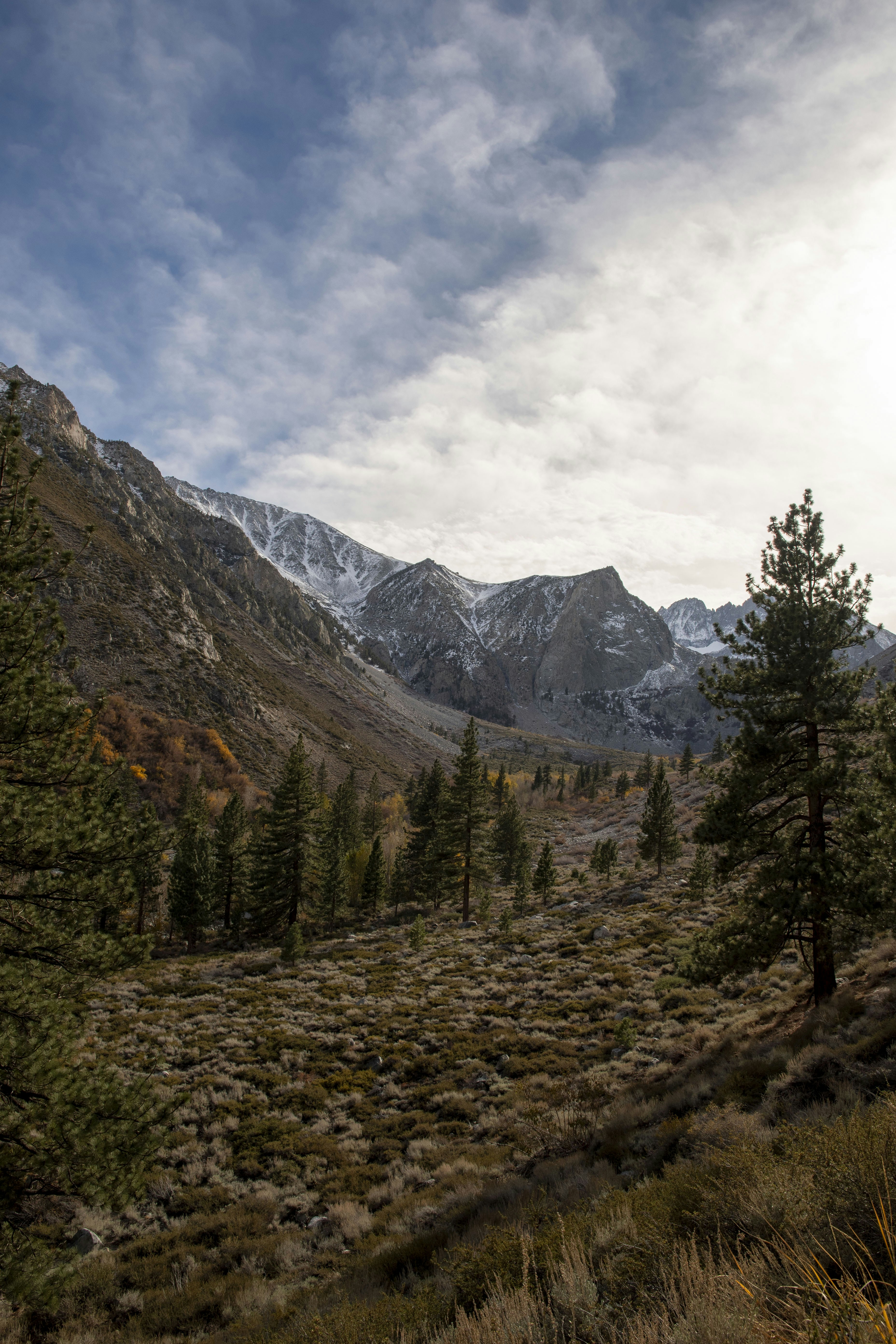 Whispers of the Sierra: A Mountain's Embrace