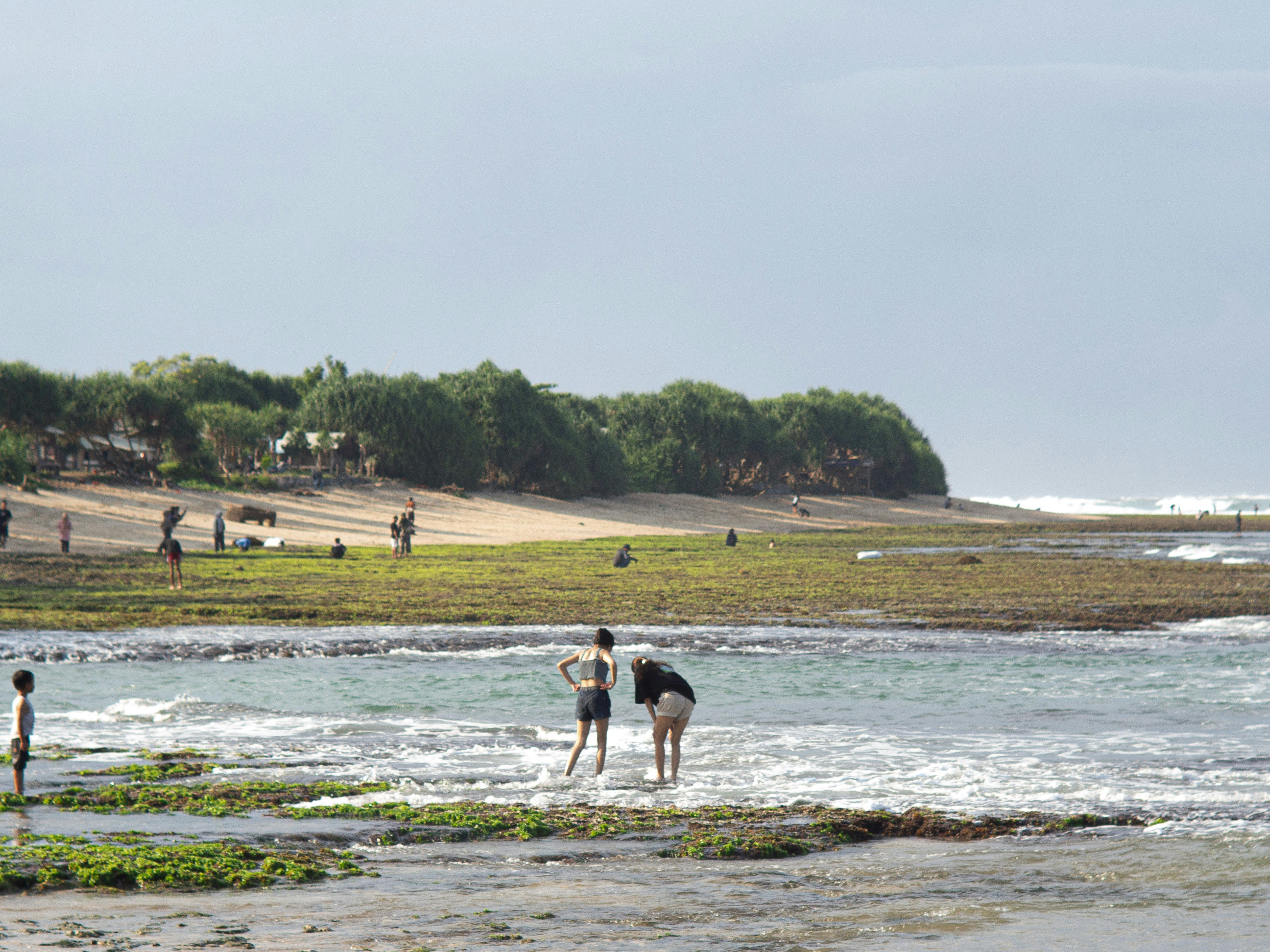OLYMPUS DIGITAL CAMERA | People exploring shallow ocean pools near a sandy beach.