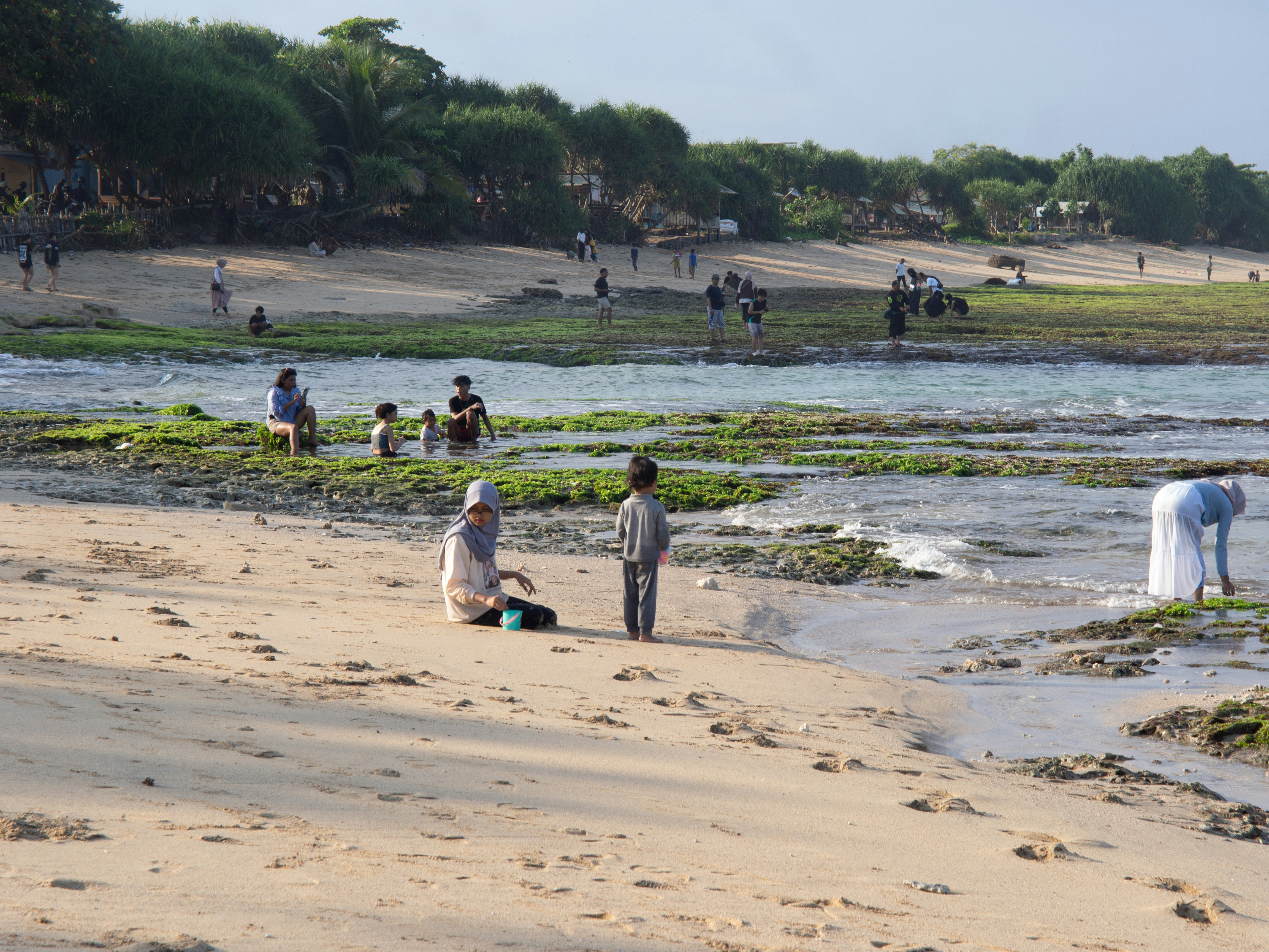 Families and children explore tidal pools along a sandy beach, with lush greenery in the background. The scene captures the essence of coastal leisure.