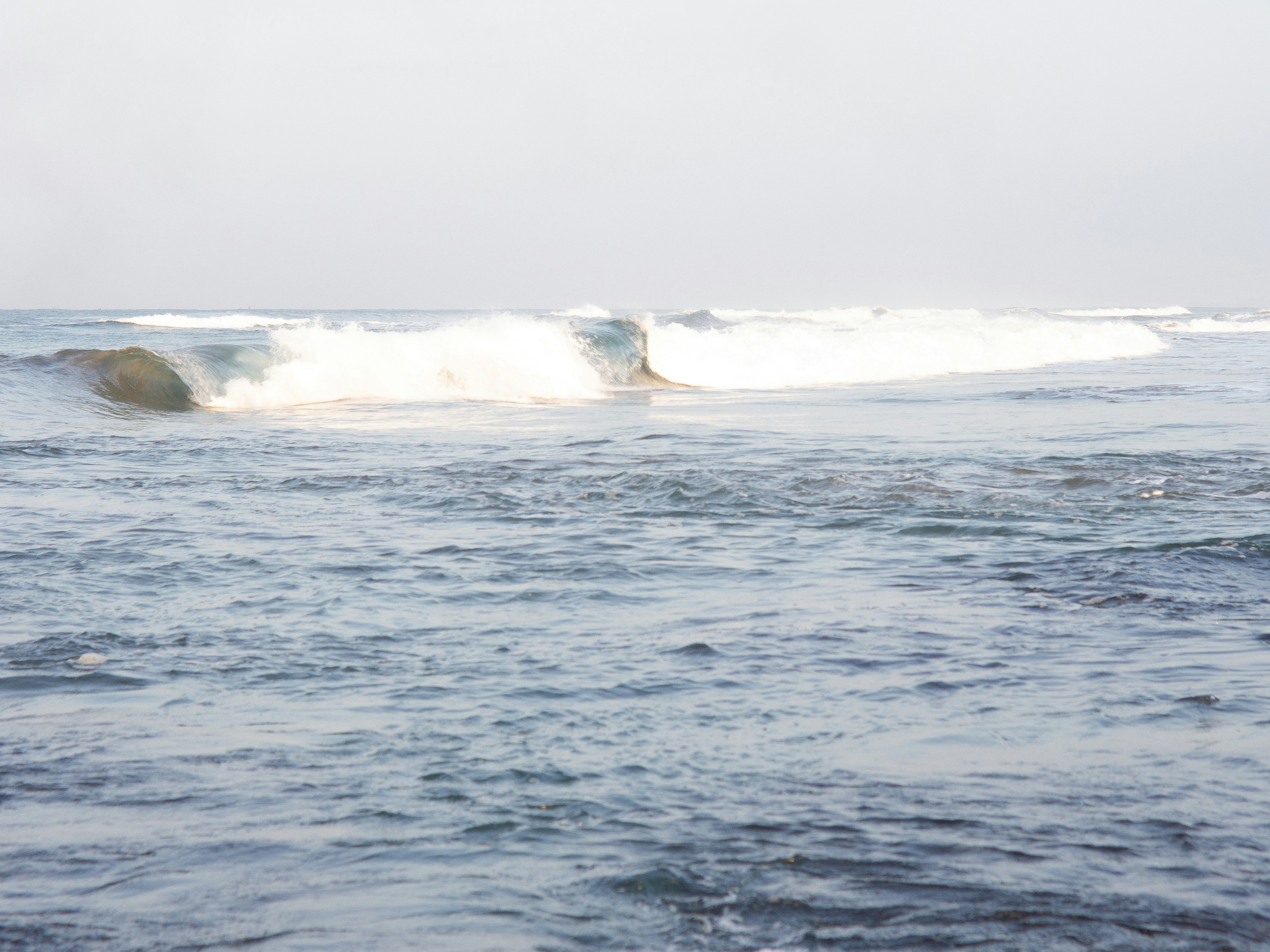 Whispers of the Ocean's Embrace
