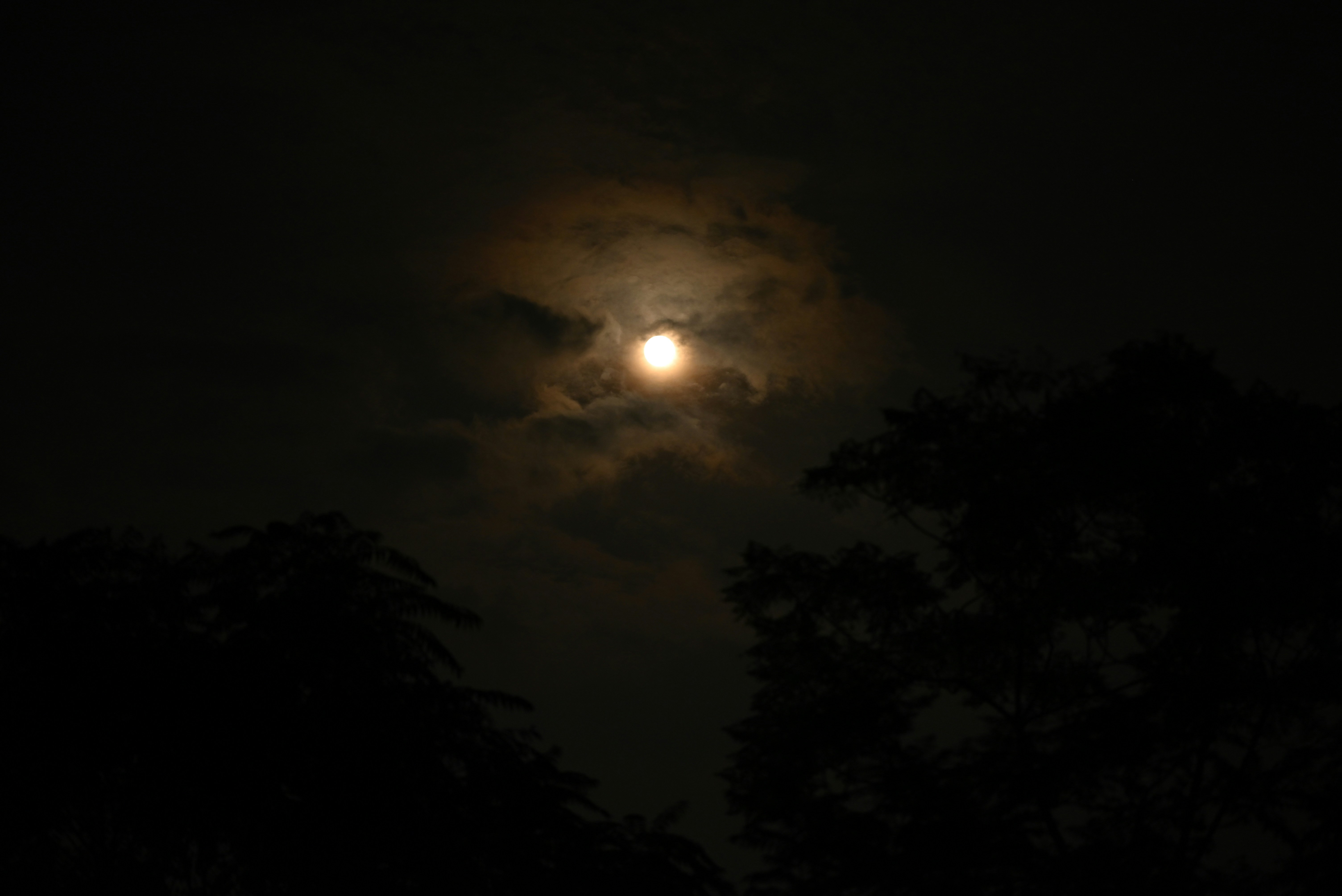 Lunar Veil: A Celestial Encounter