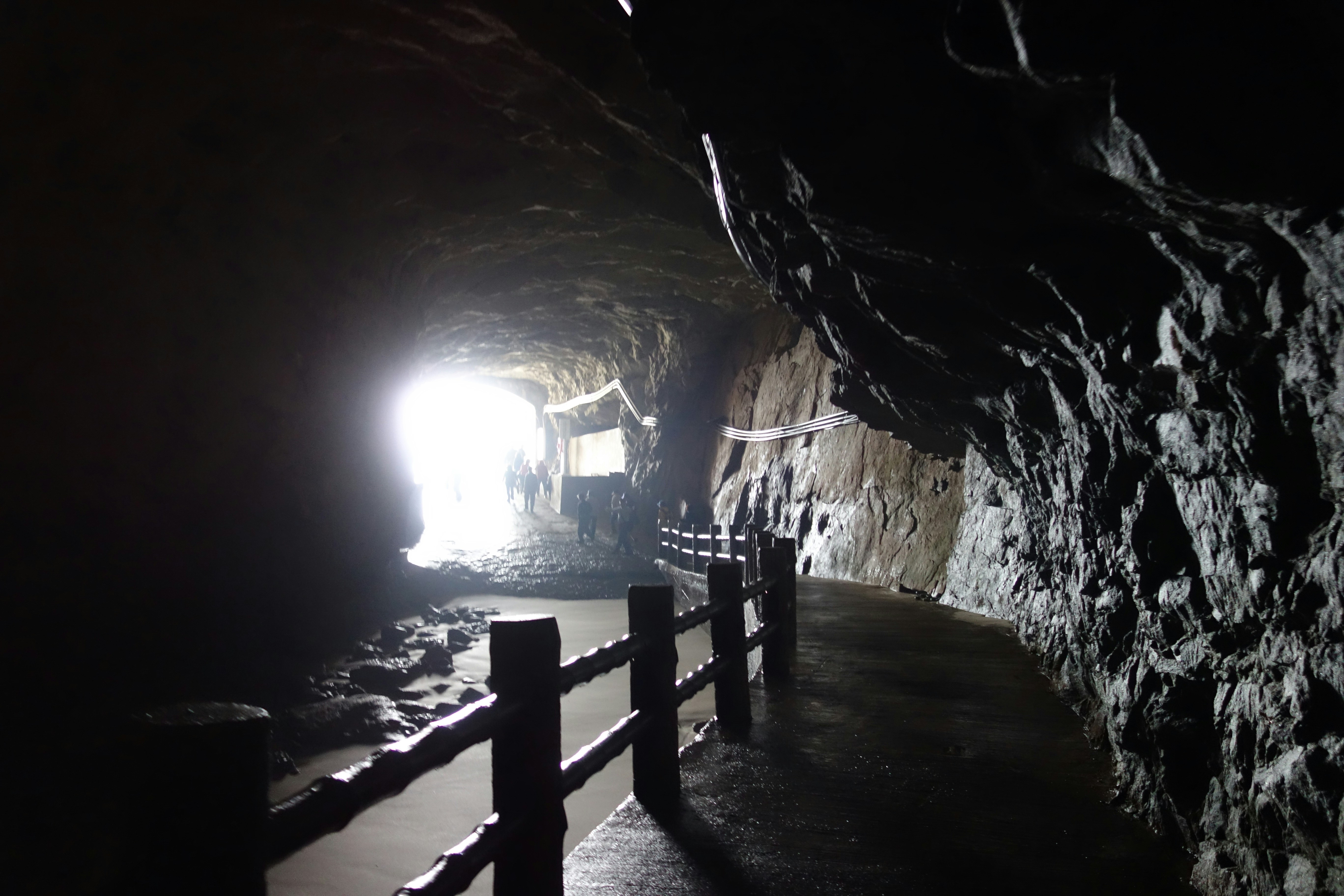 Journey Through the Gloom: A Passage to Light
