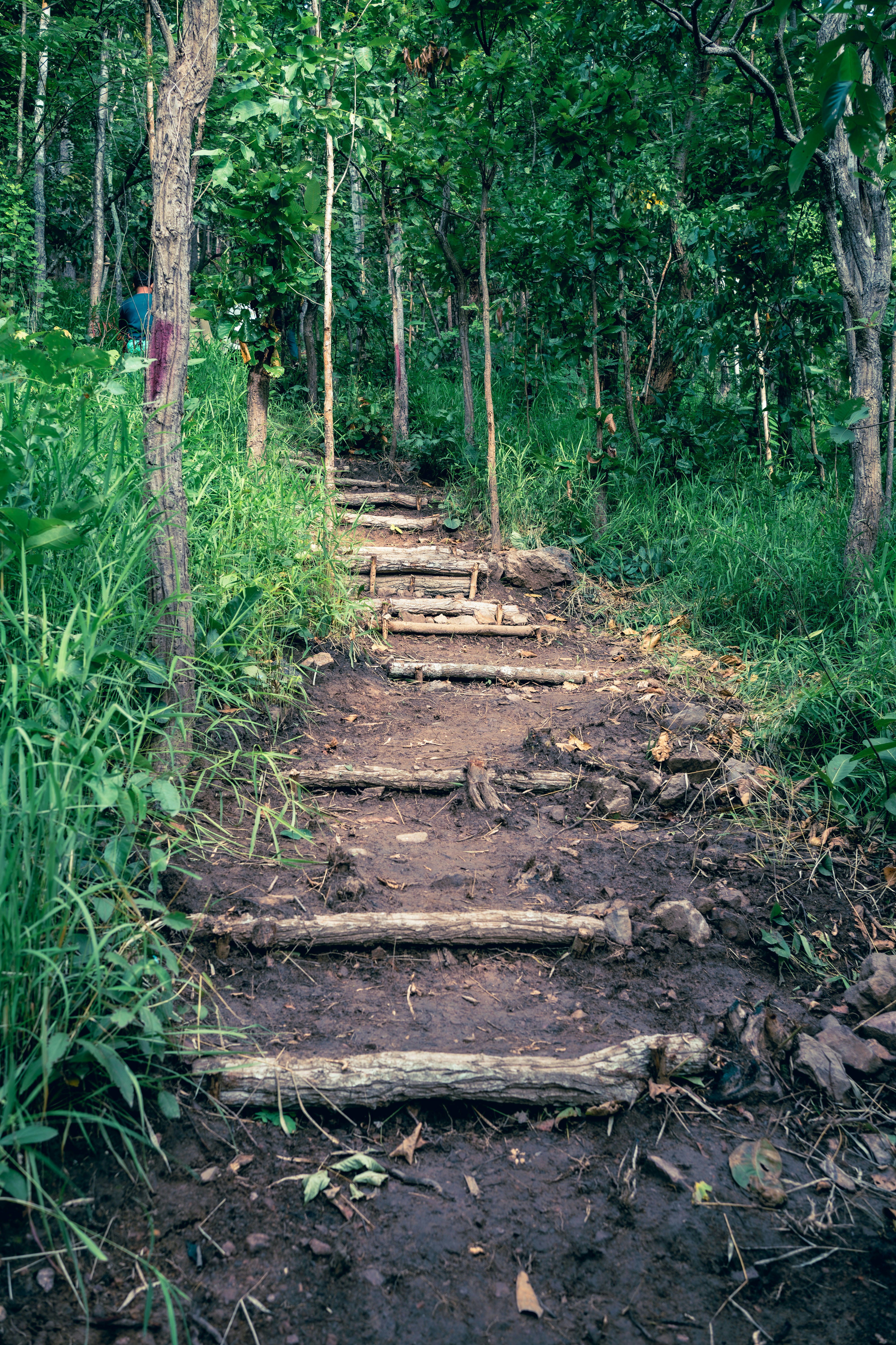 Mlech Trail Kampot ,Cambodia | A dirt path with wooden steps in a forest