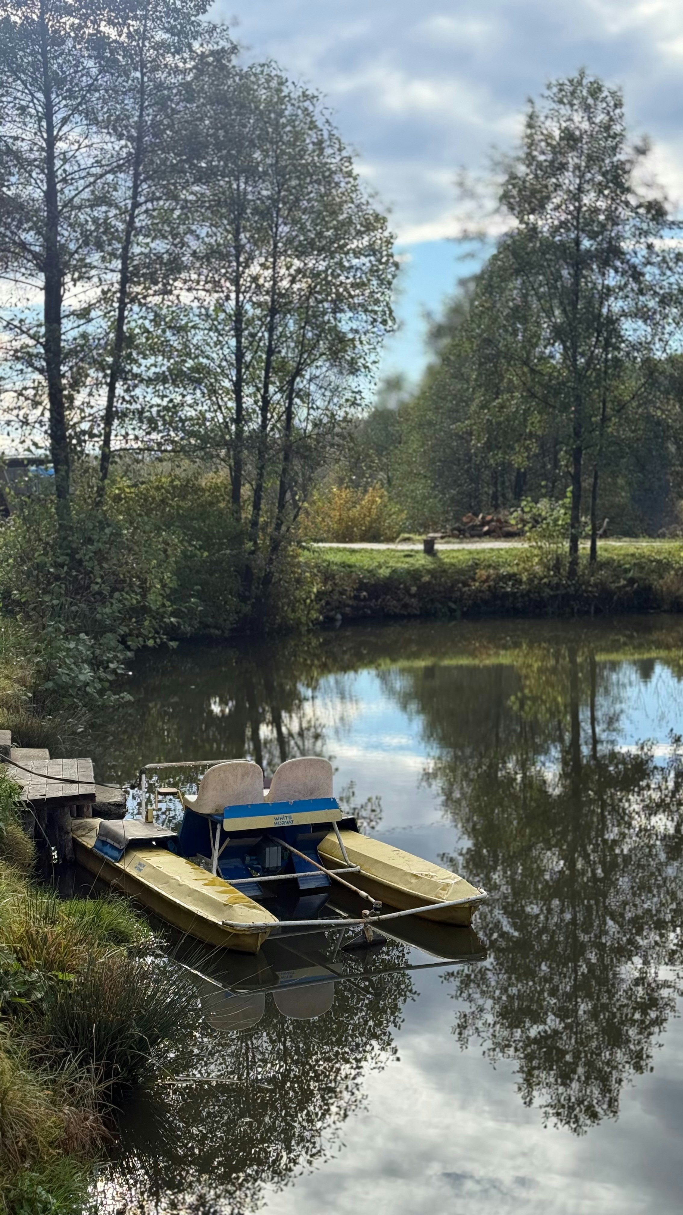 Tranquil Reflections on a Hidden Pond