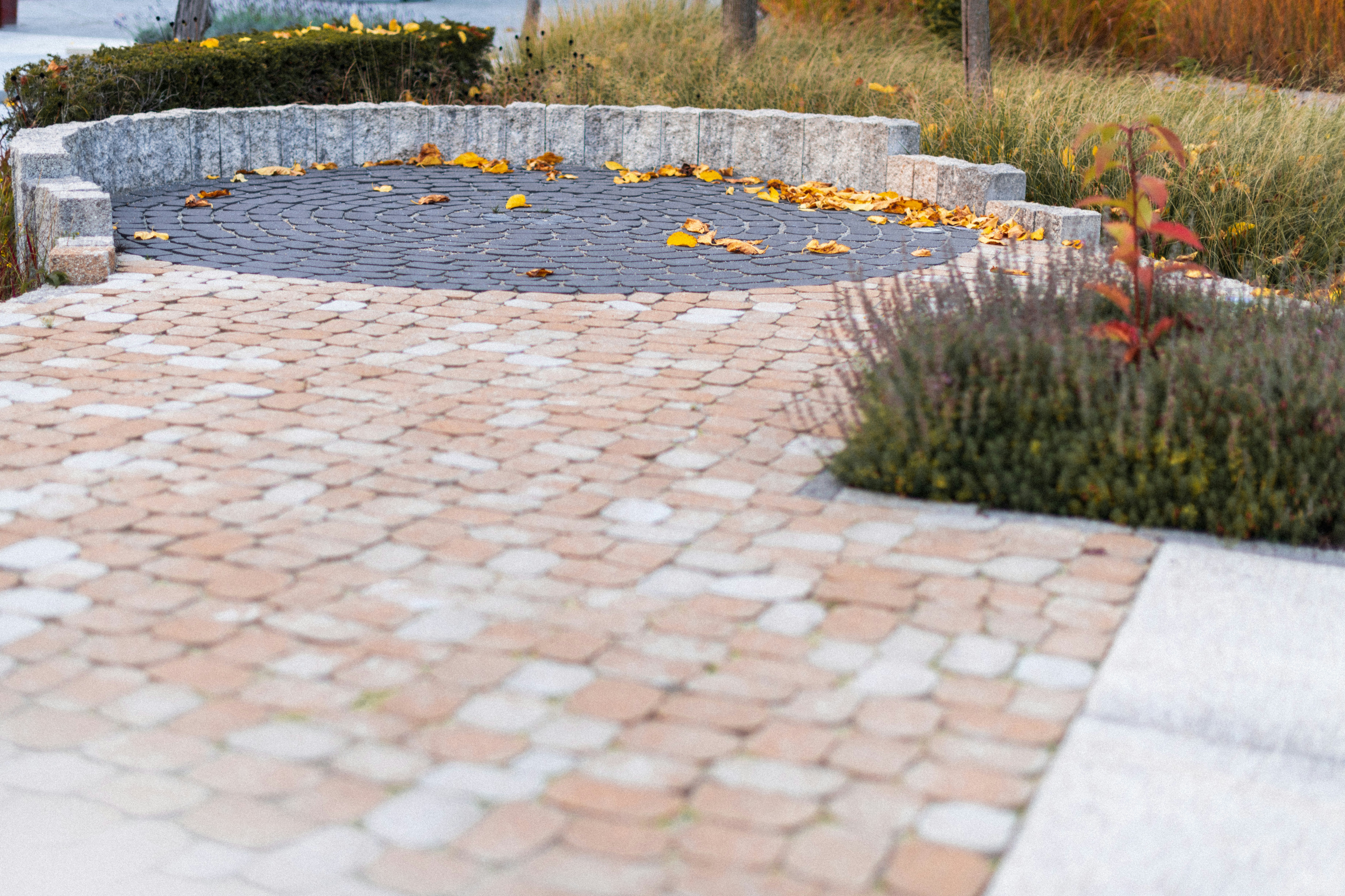 Curved stone pathway adorned with fallen leaves, leading to a circular stone seating area surrounded by lush greenery.