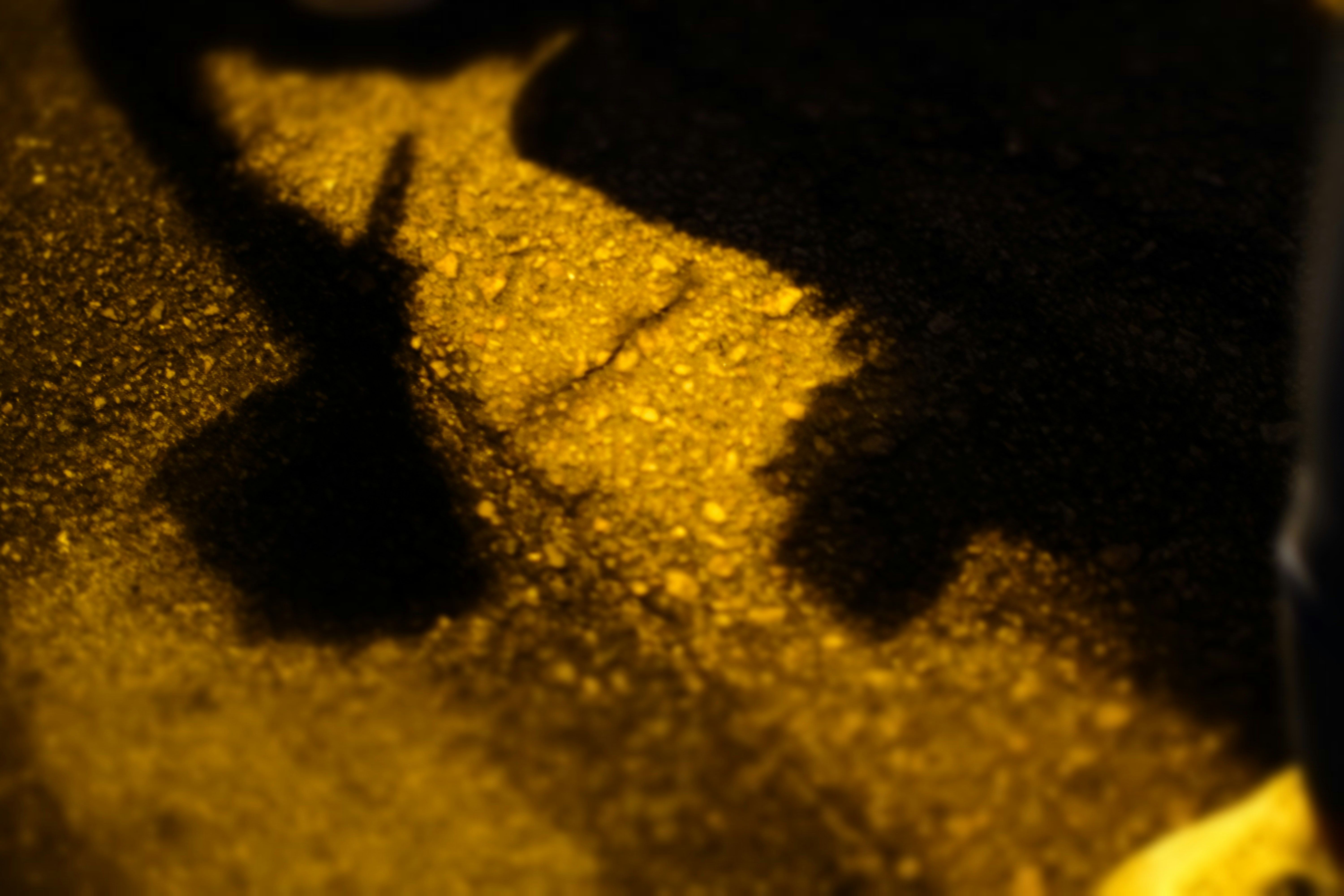 Echoes of the Night: Shadows on Asphalt