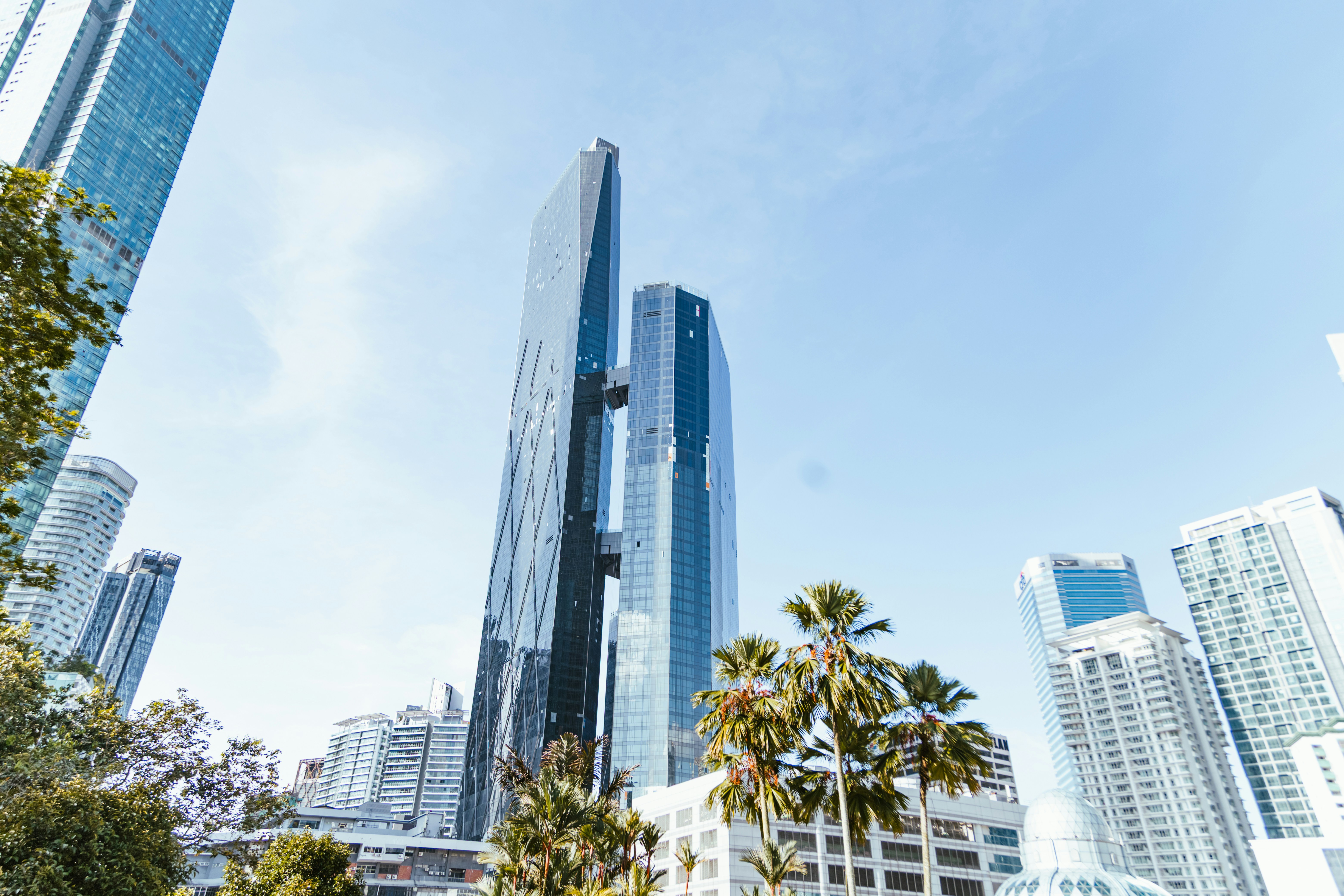 Modern skyscrapers and palm trees under a clear sky.