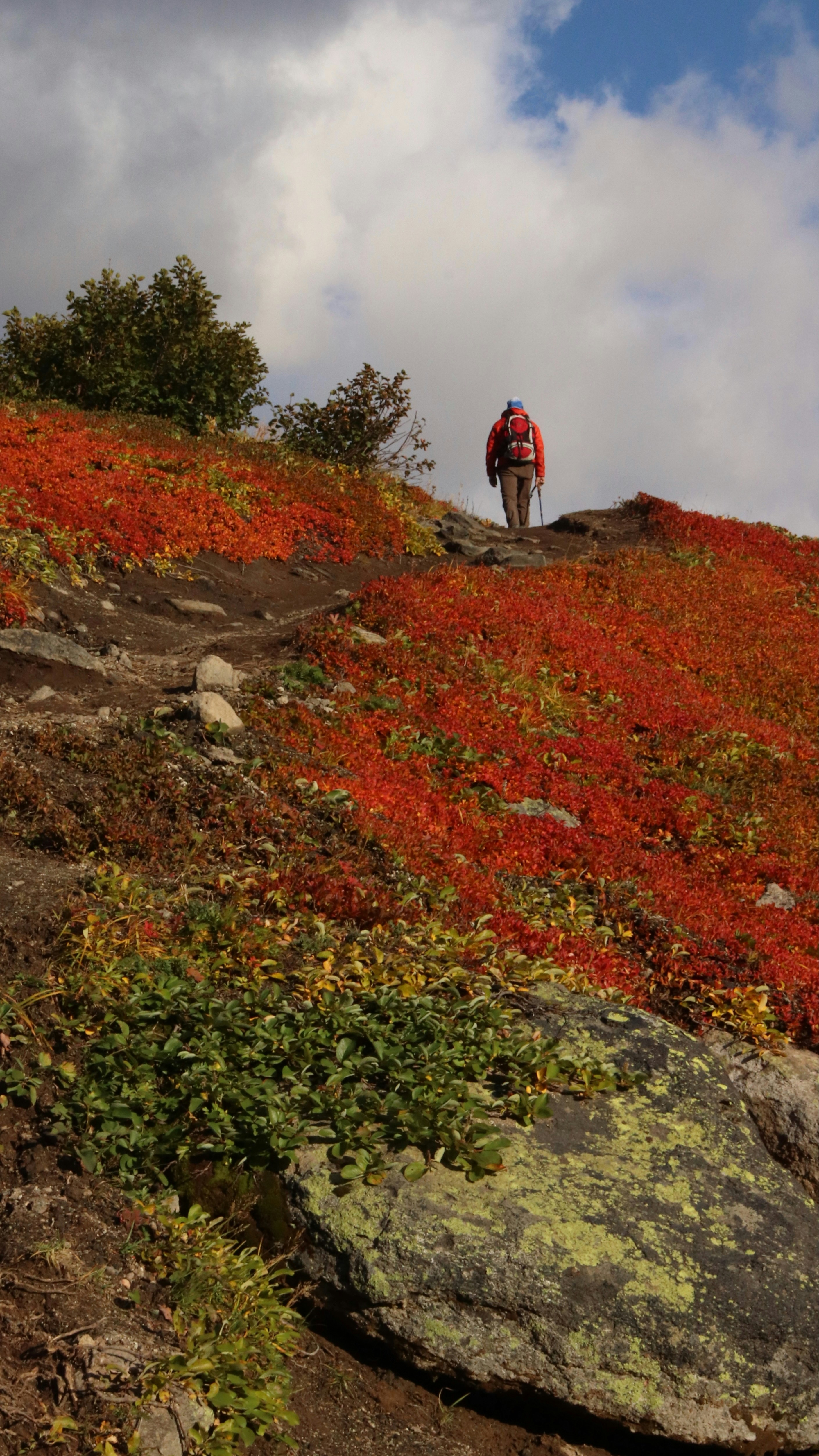 Trail to the Peak: A Hiker Amid Autumn Fire on a Rocky Ascent