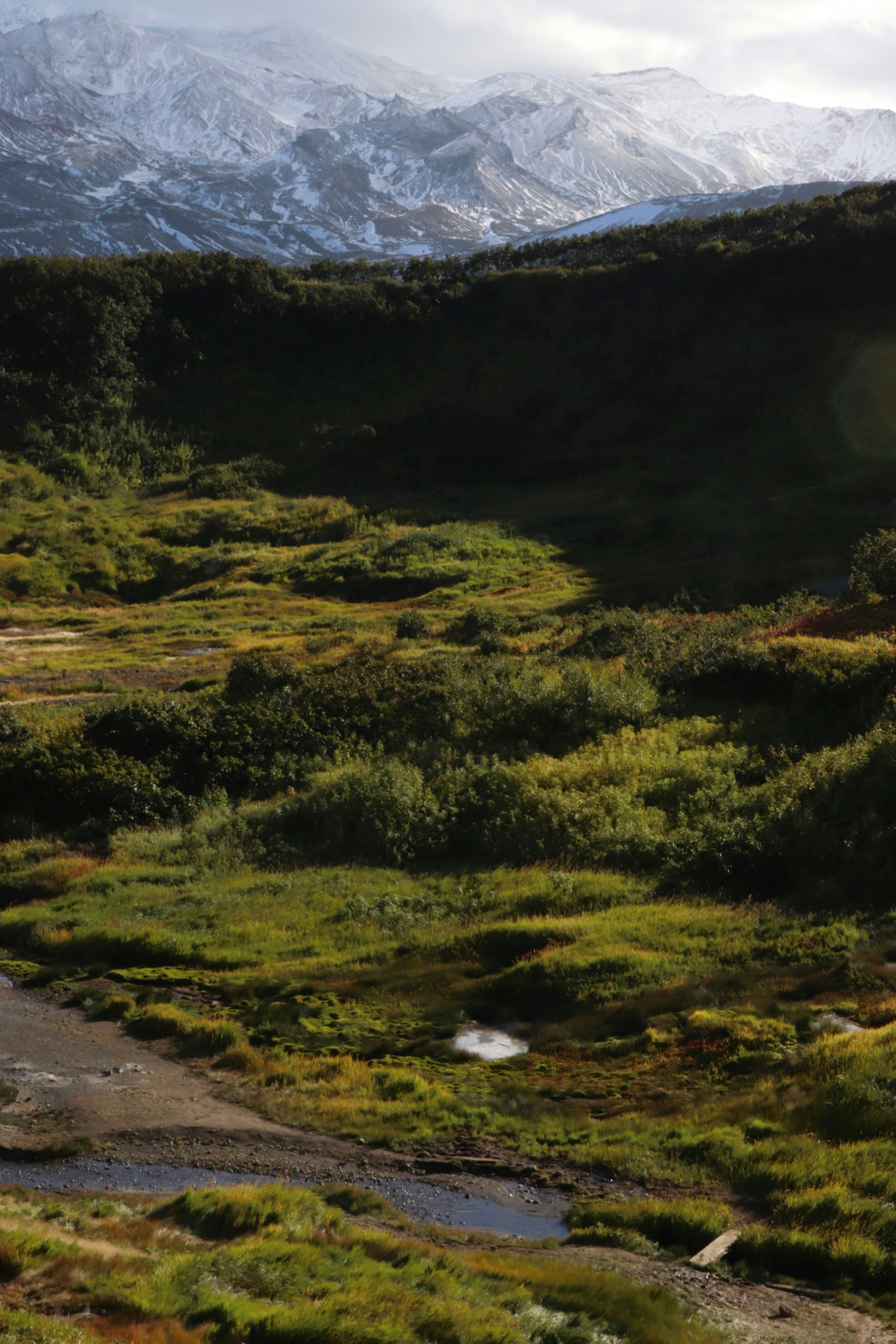 Emerald Tapestry: Nature's Palette Unveiled