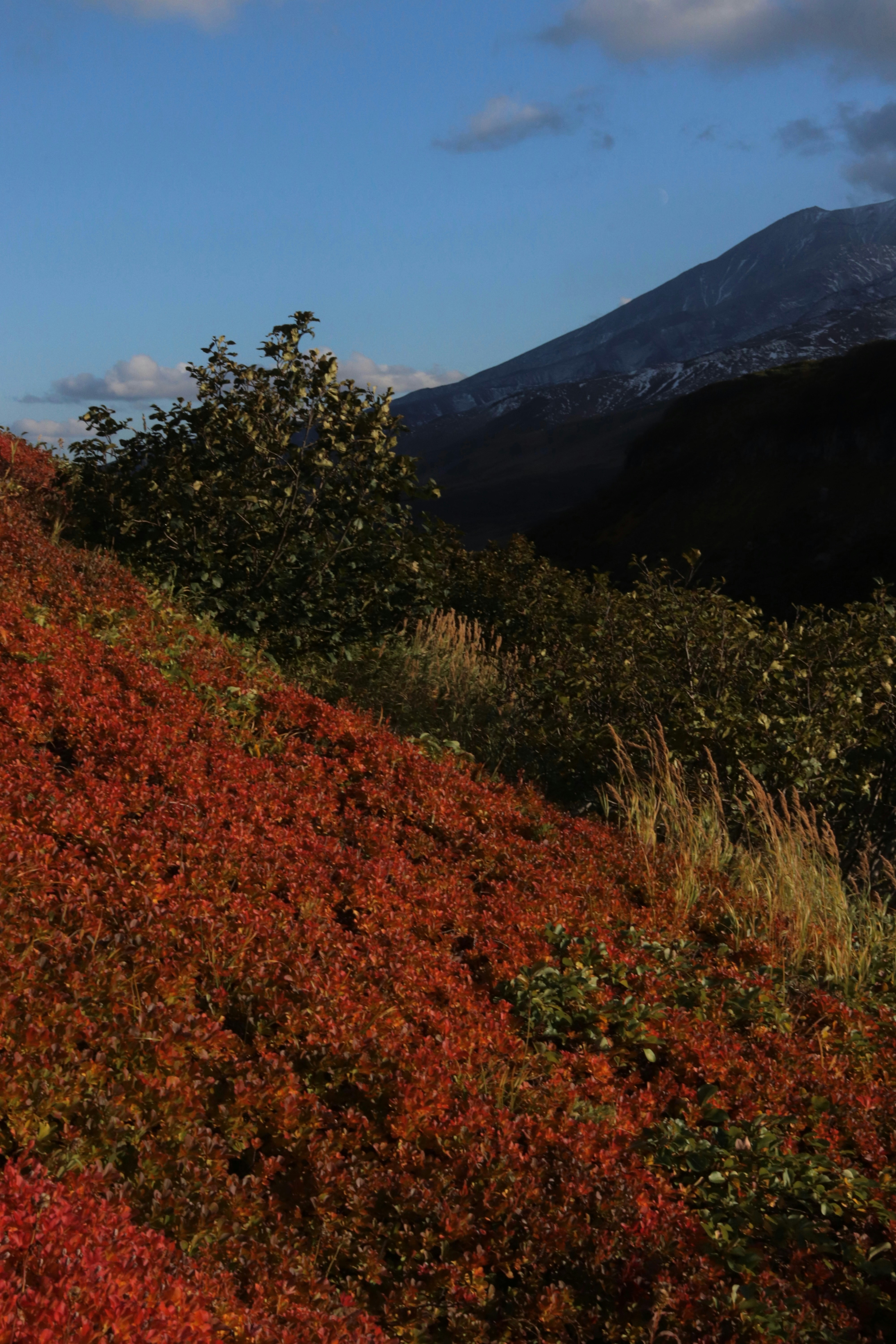 Crimson Waves Beneath Majestic Peaks