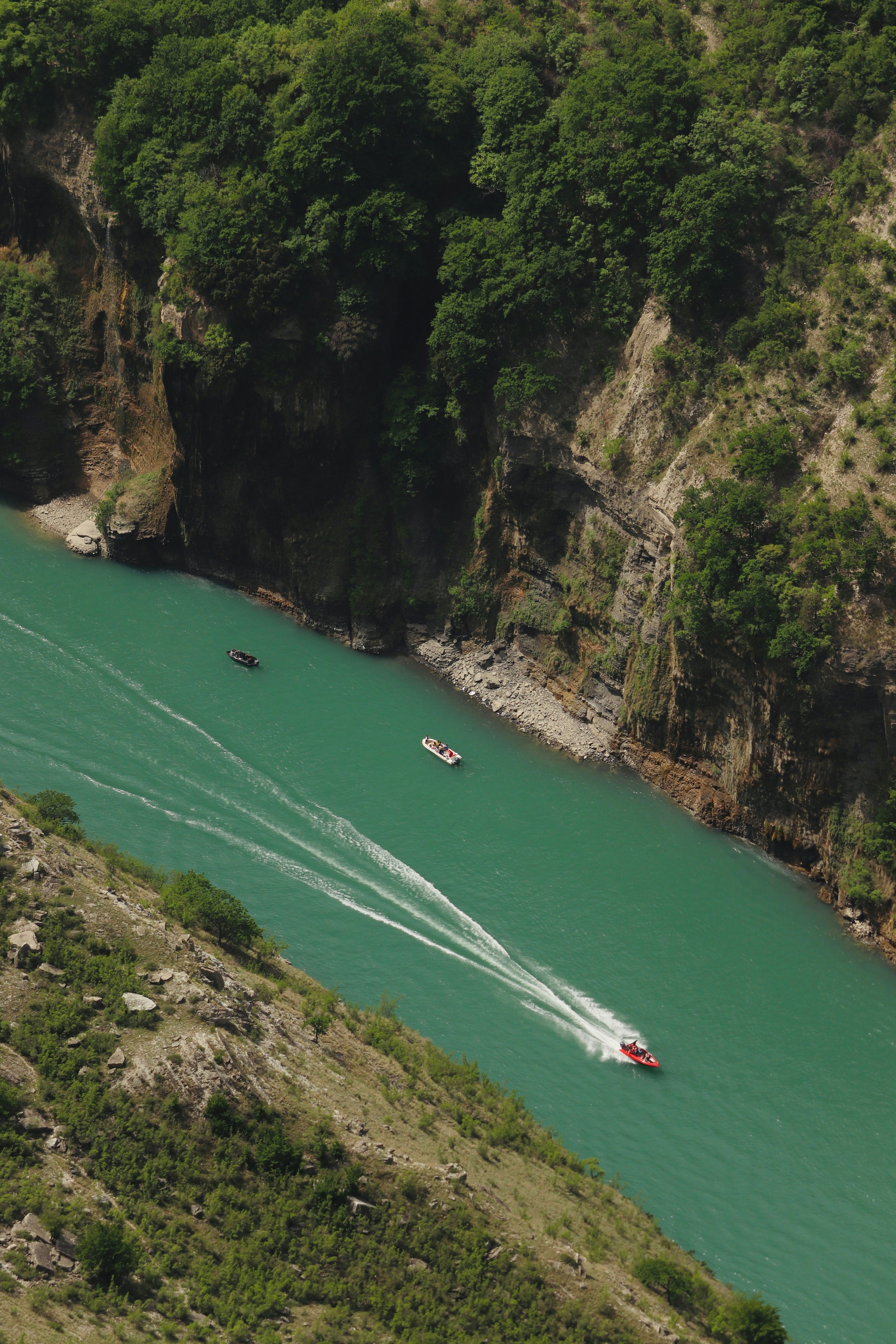 Serpentine Waters: A Journey Through Nature's Embrace