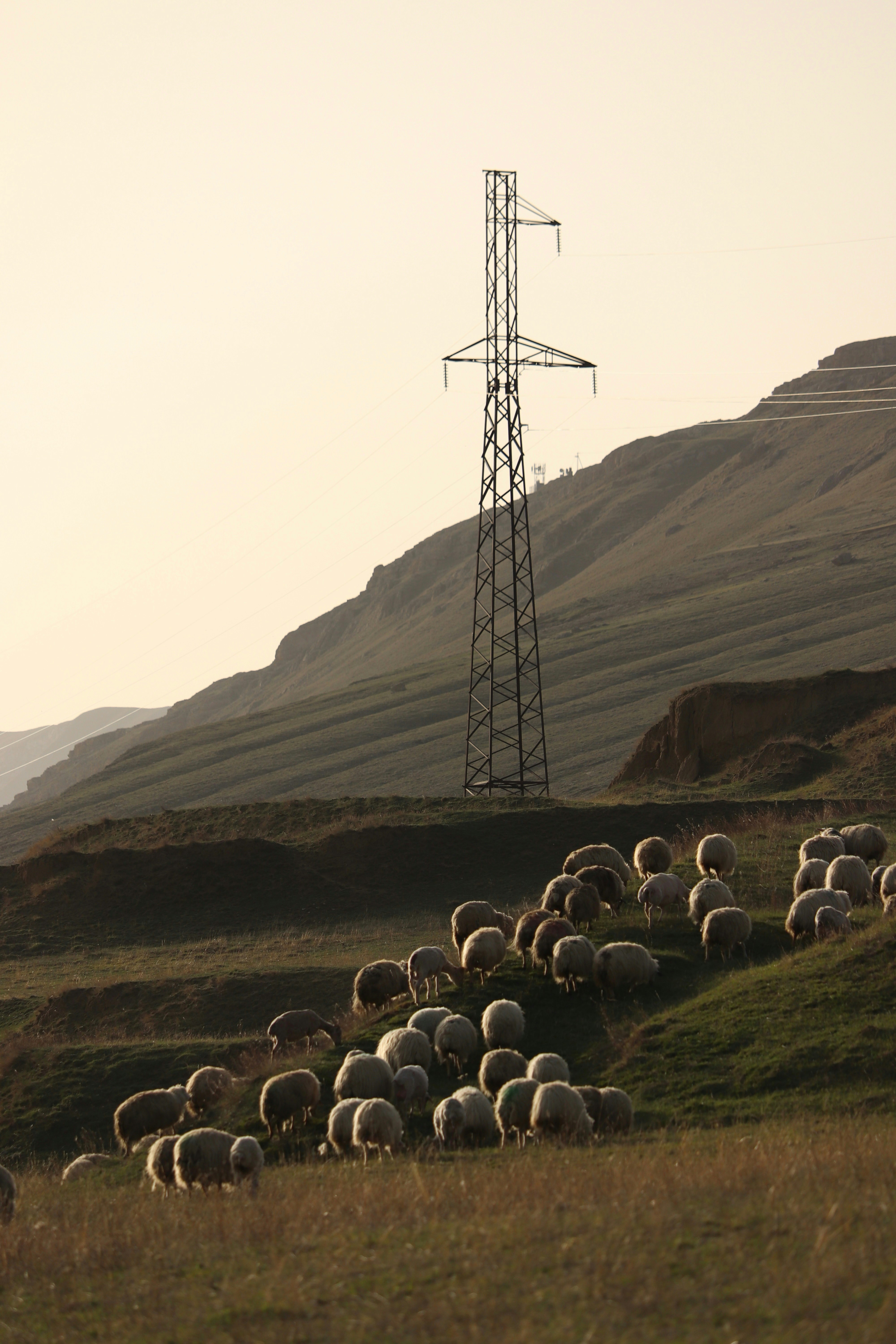 Harmony of Nature and Industry
