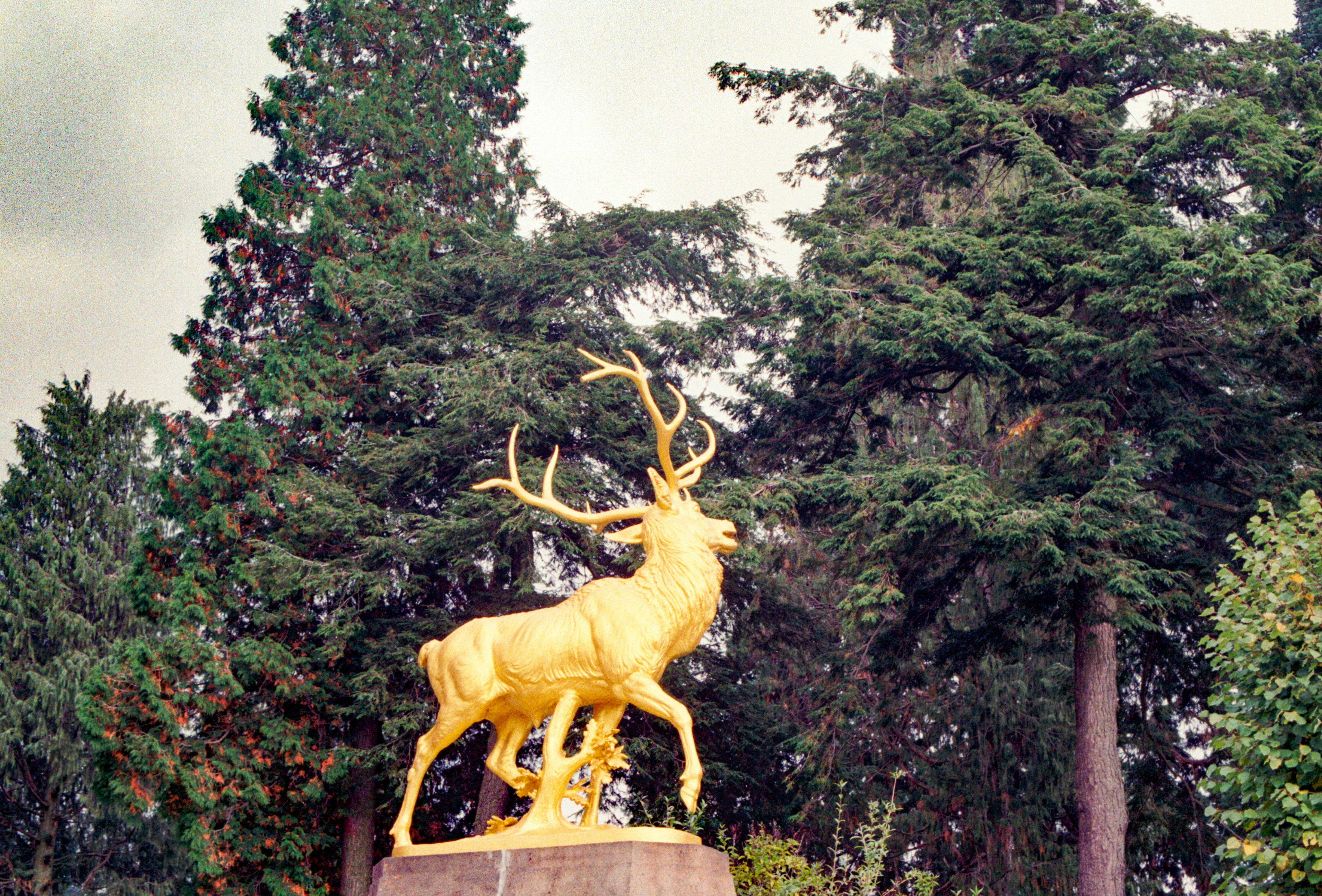 Oh deer... | Golden stag statue stands tall among trees