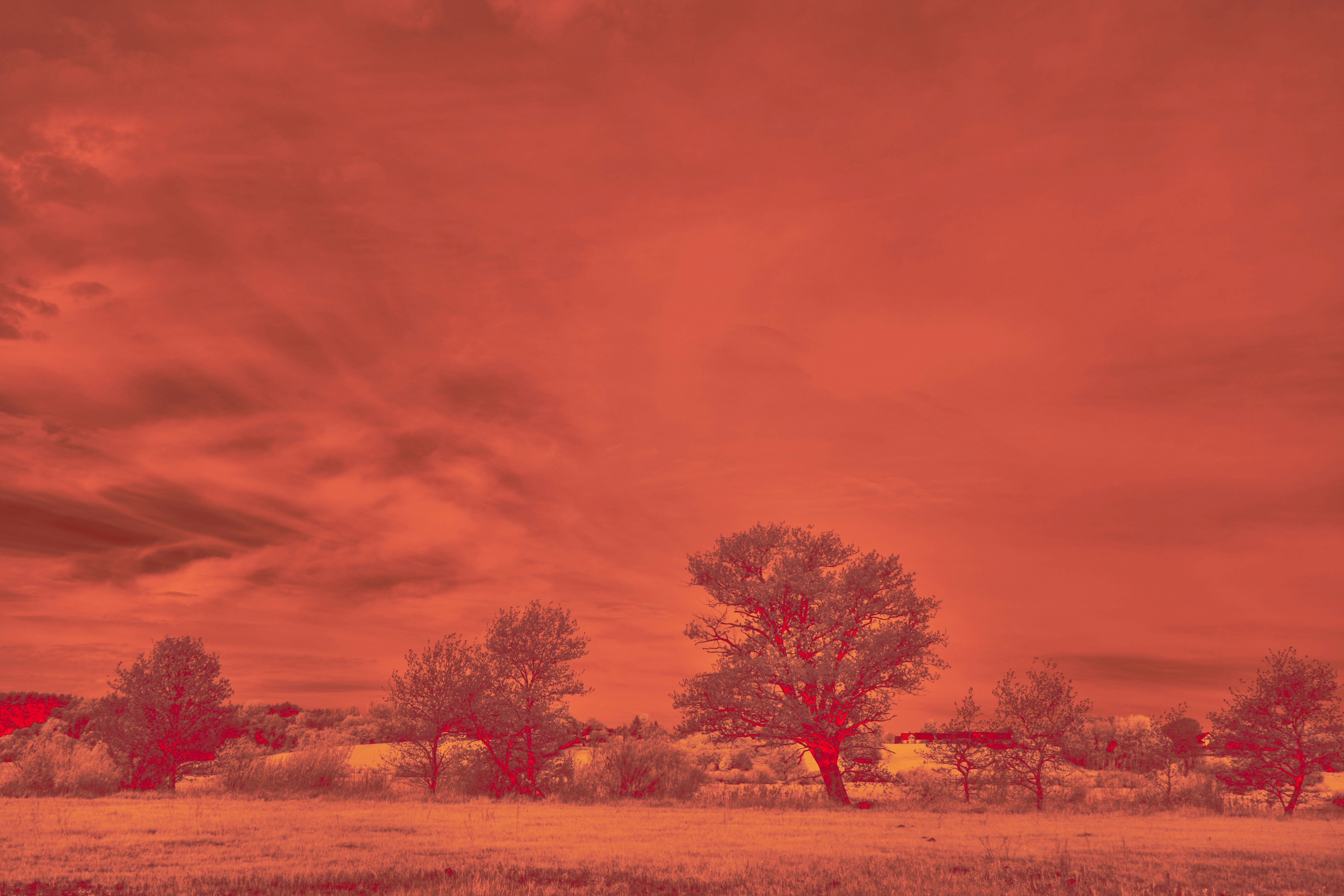 Whispers of an Infrared Horizon