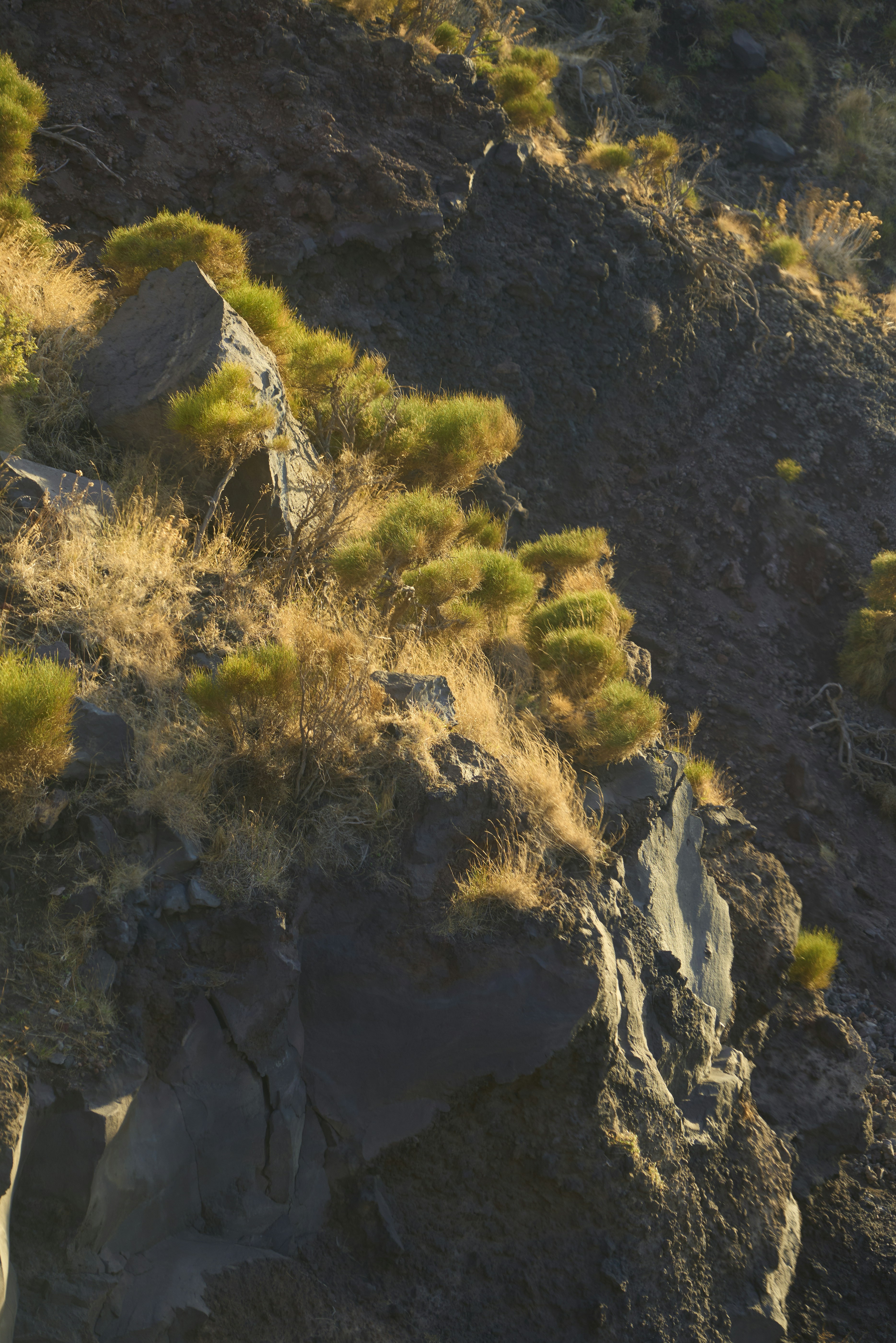 Golden hour light on rocky hillside with dry grass.